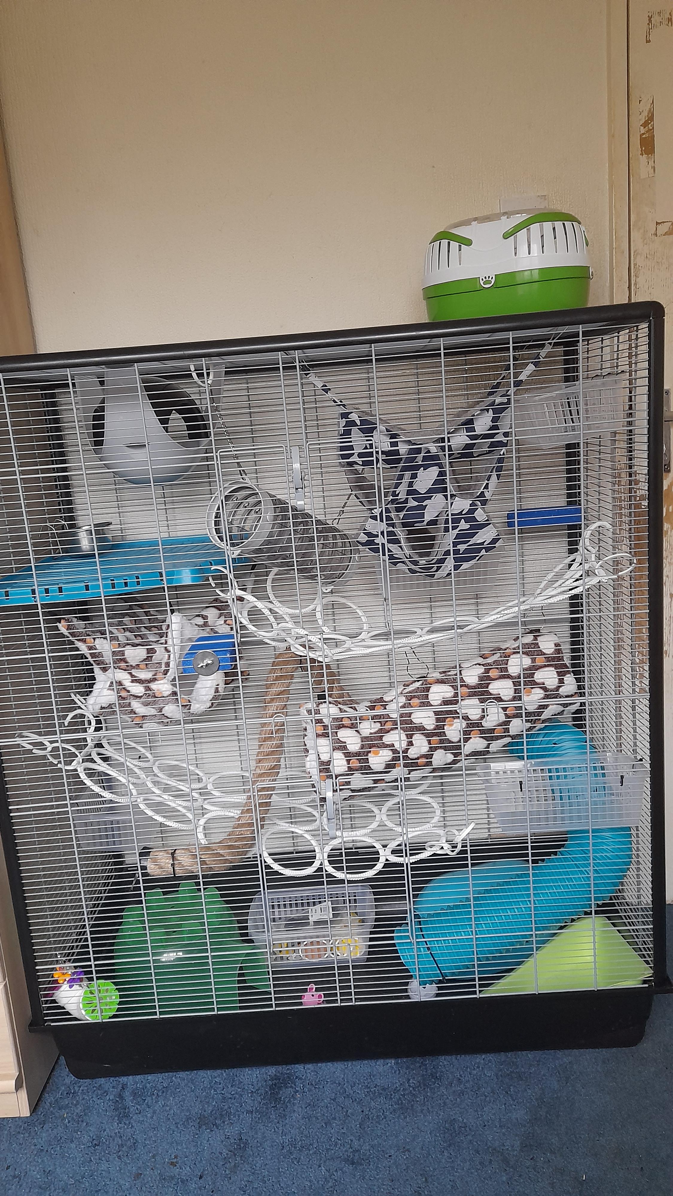 Anyone have any ideas for cage improvements? | Scrolller