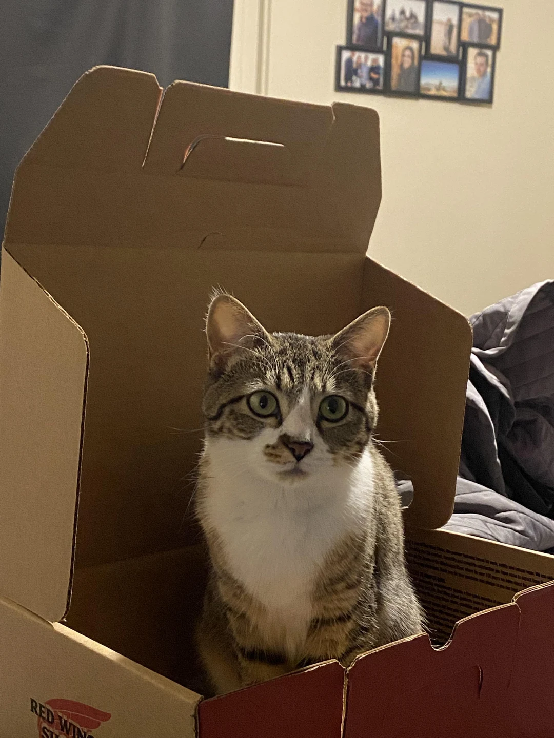 A successful trap | Scrolller