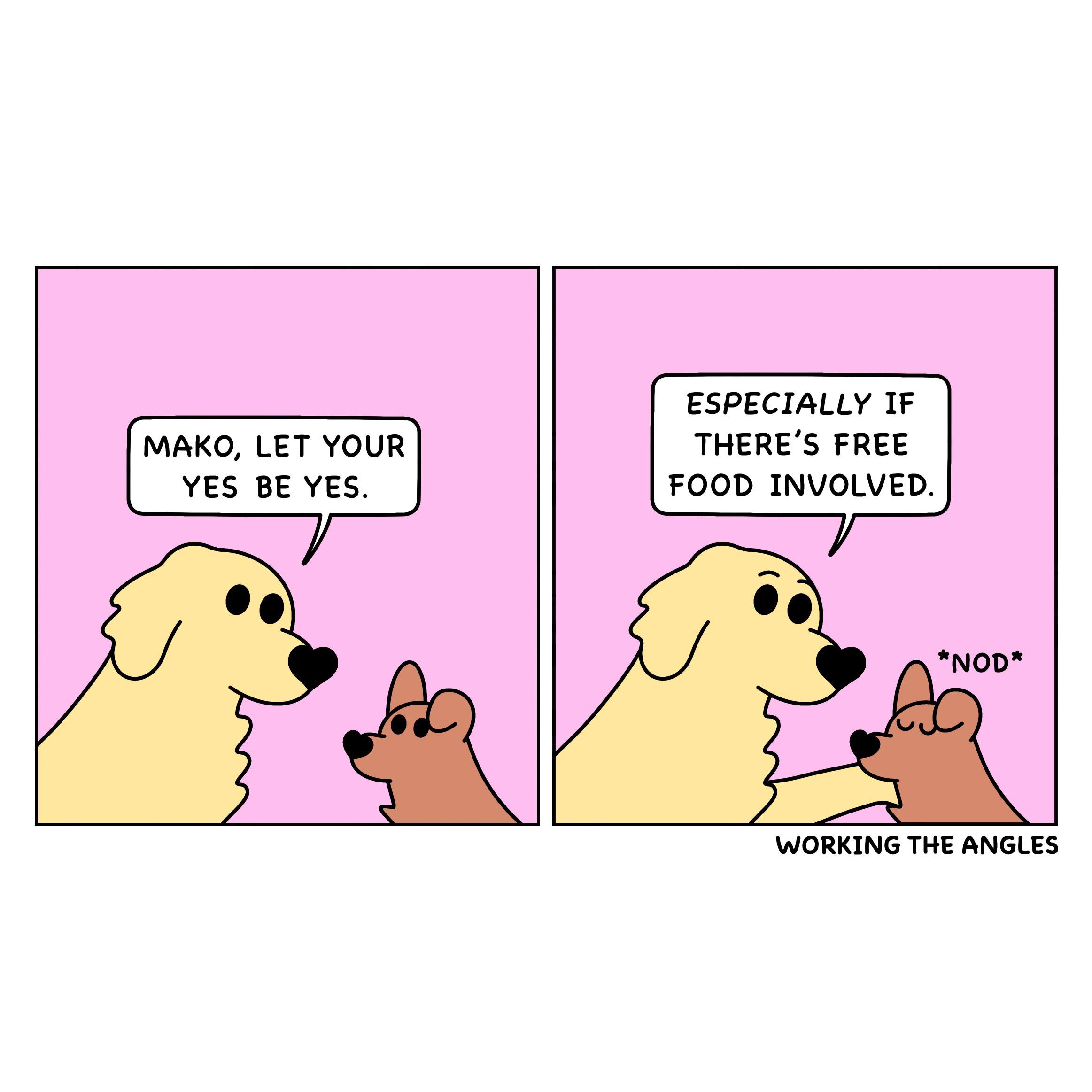 Life Lessons | Scrolller