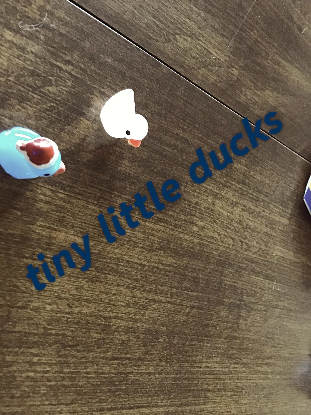 tiny little ducks | Scrolller