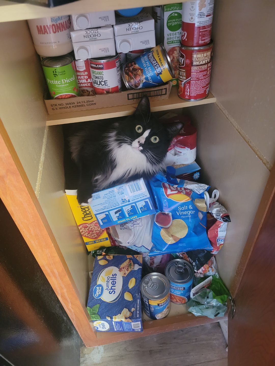 Caught stealing food | Scrolller