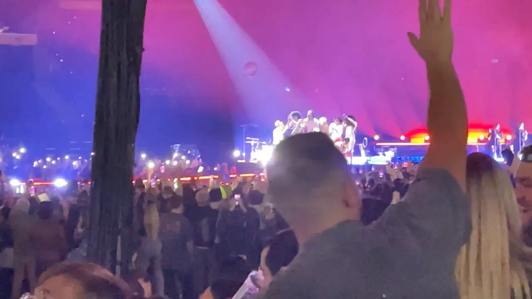 Buffalo turned out | Scrolller