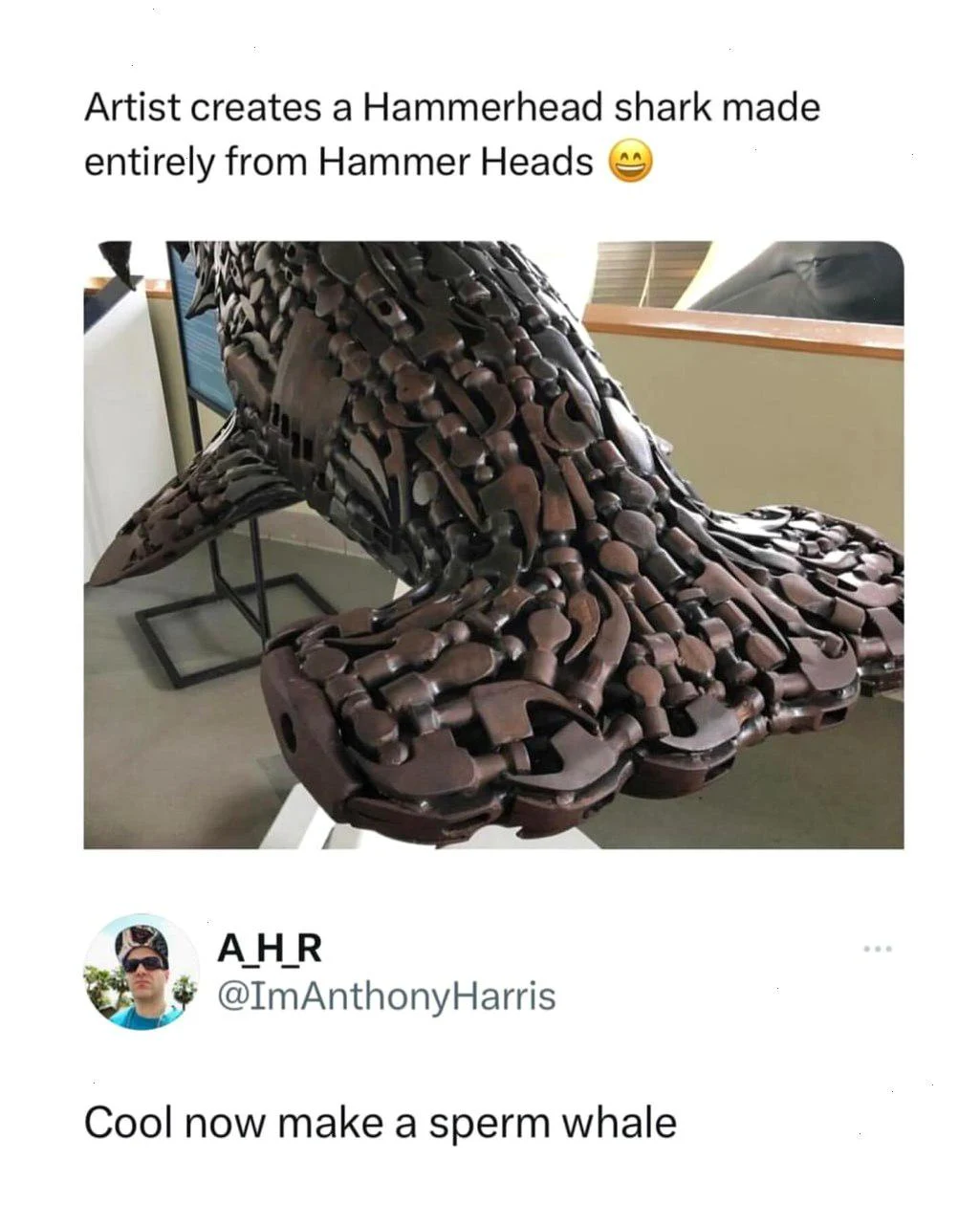 Discover more like Meme: Sharks and whales and Related Content | Scrolller