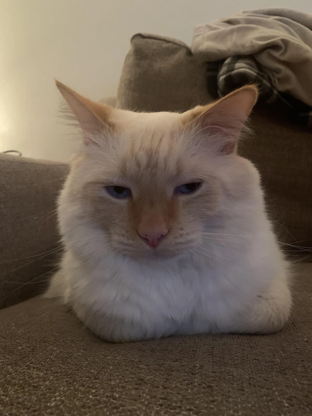 A square | Scrolller