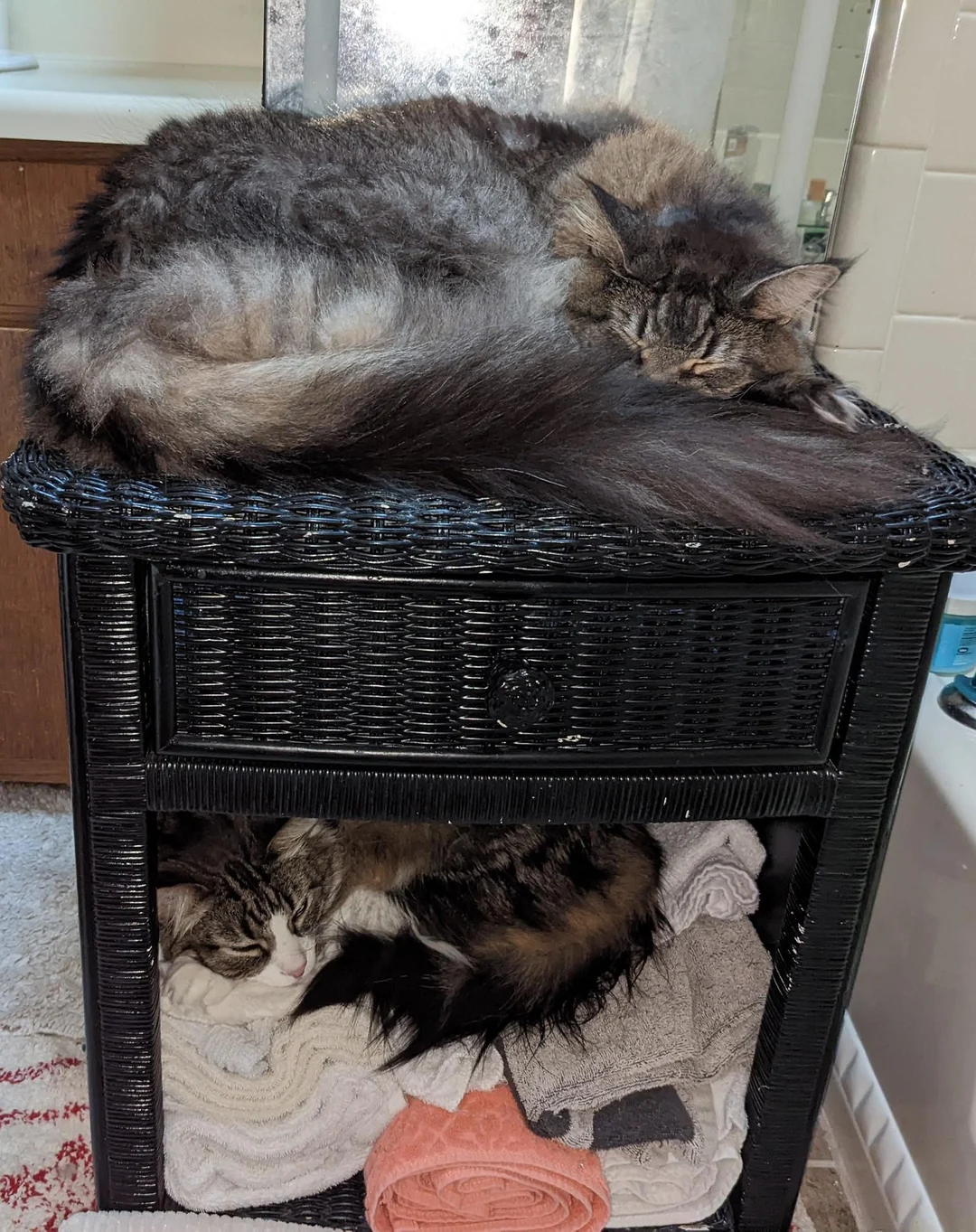 Double decker bath time buddies | Scrolller