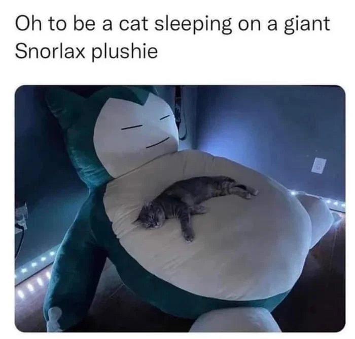 Cat sleeping on a Pokemon Snorlax | Scrolller