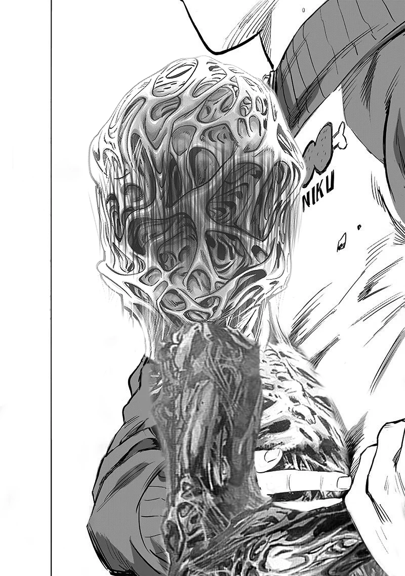 OPM final chapter spoilers | Scrolller