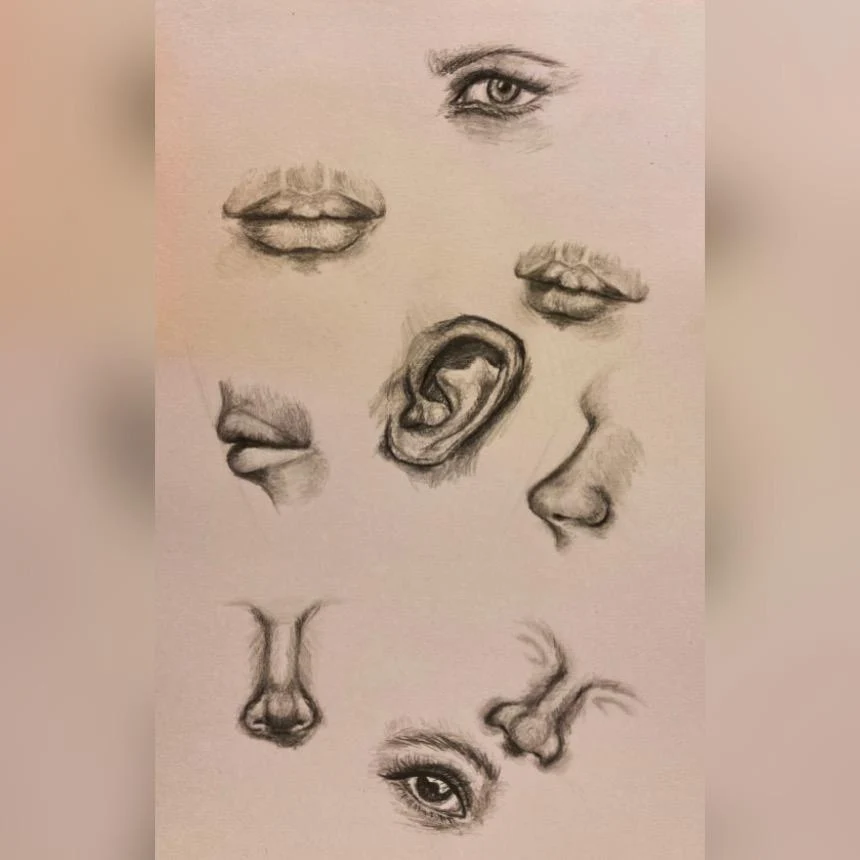Face anatomy, Me, Graphite, 2022 | Scrolller