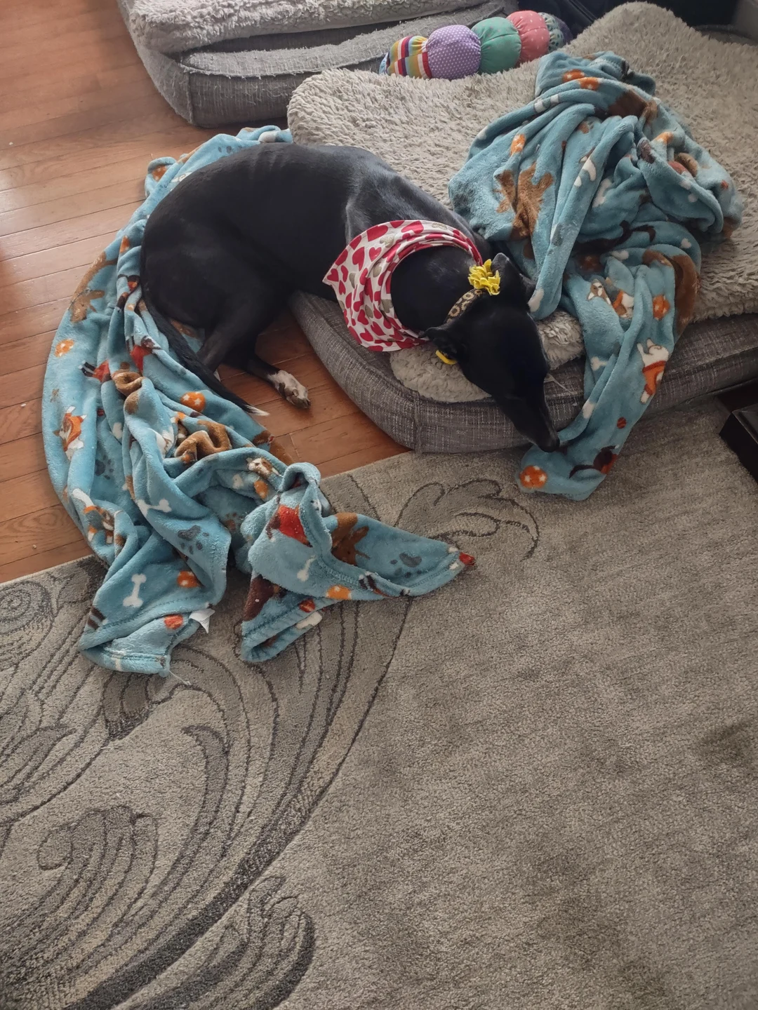 Bed fail | Scrolller