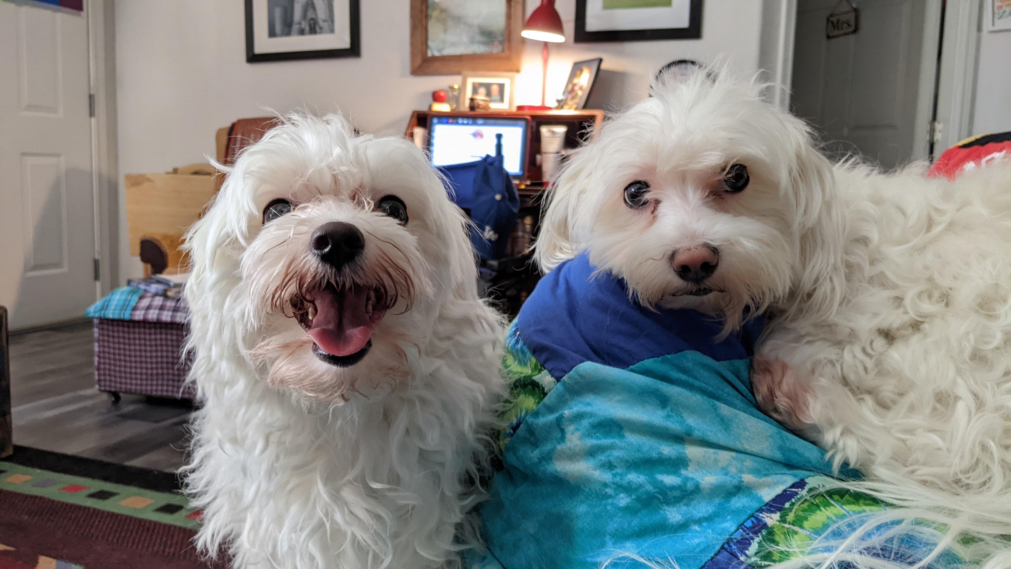 Brother Spencer and Levi | Scrolller