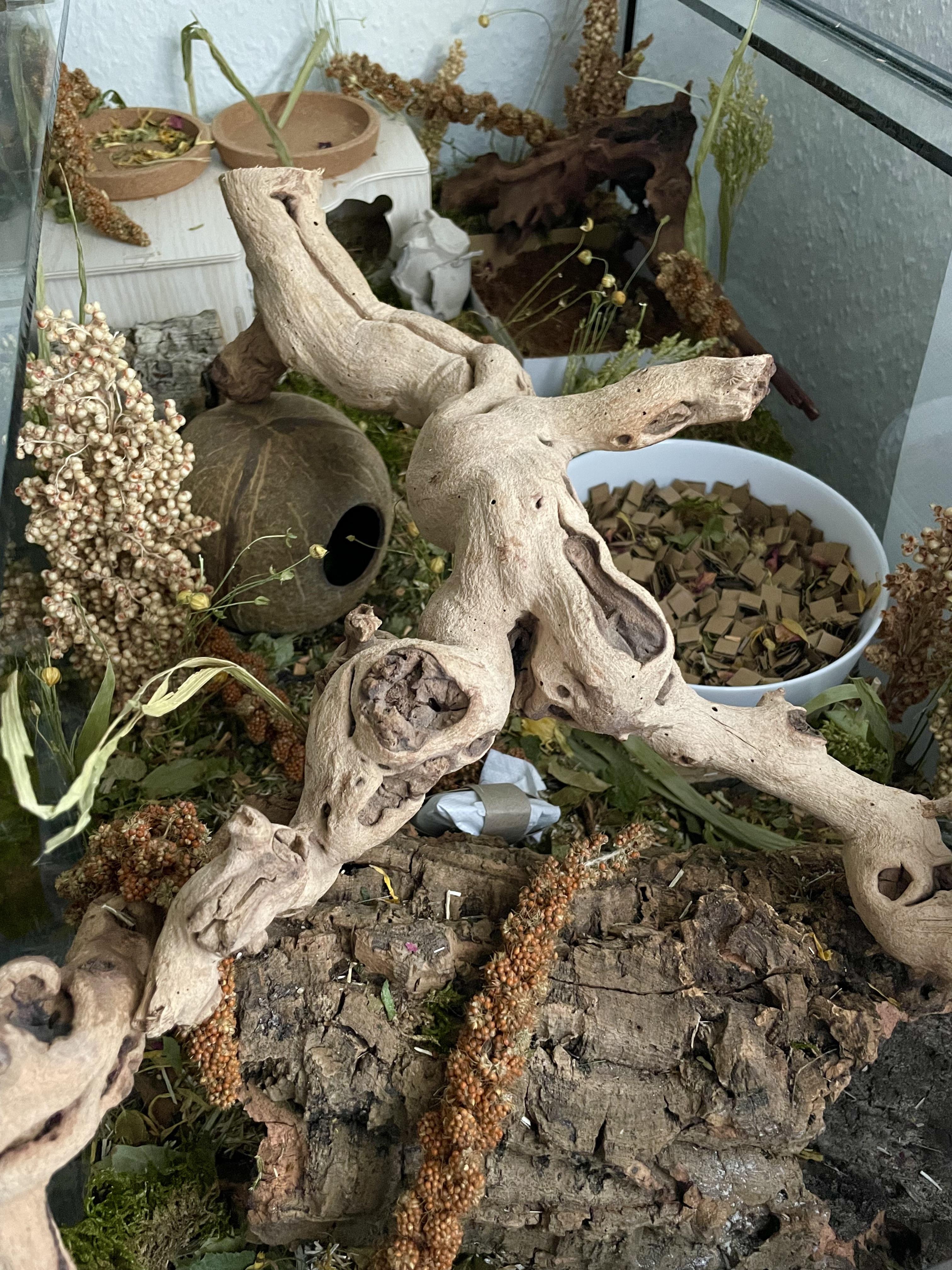 Swipe! Enclosure set up | Scrolller