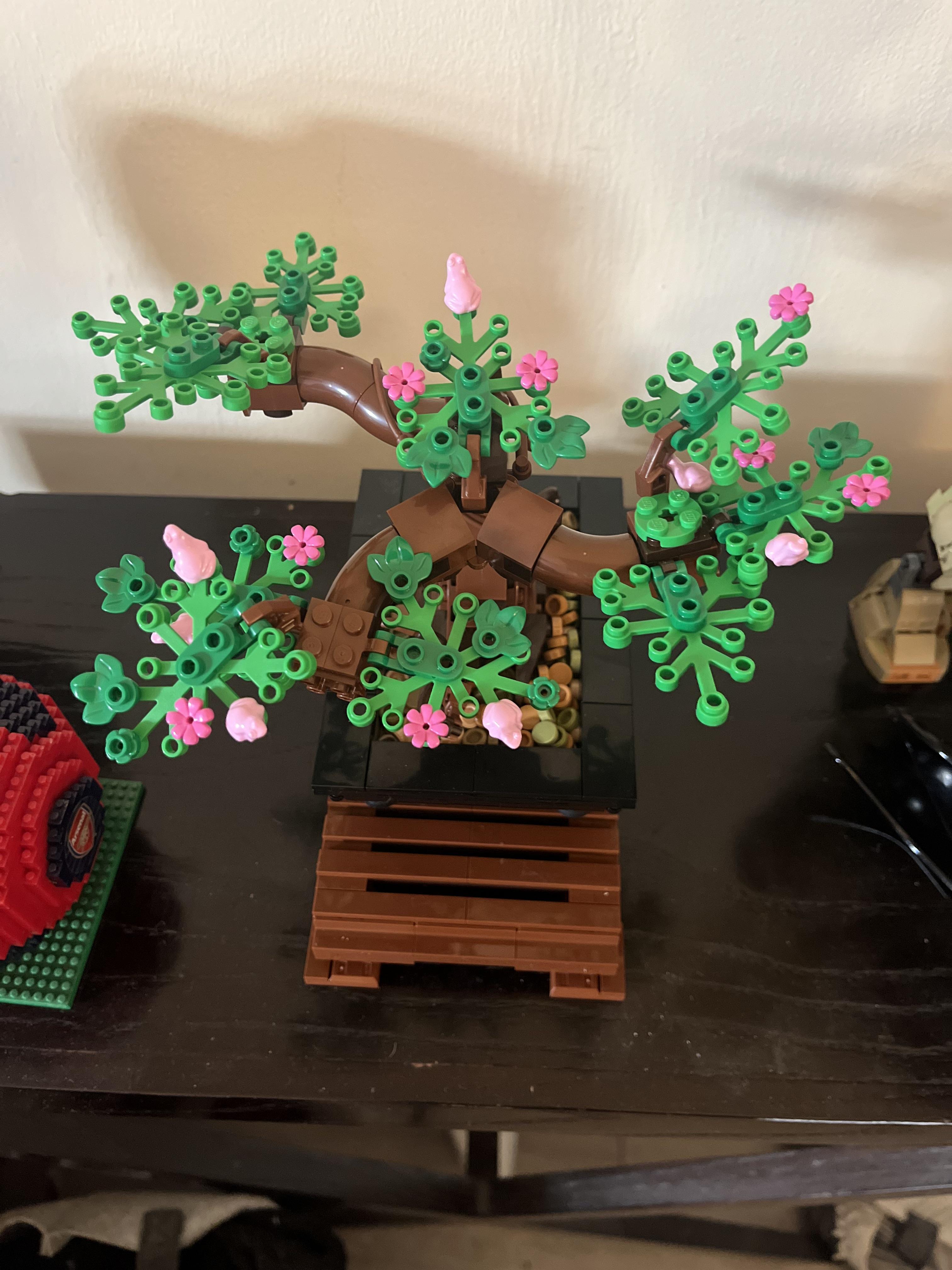 Completed! | Scrolller