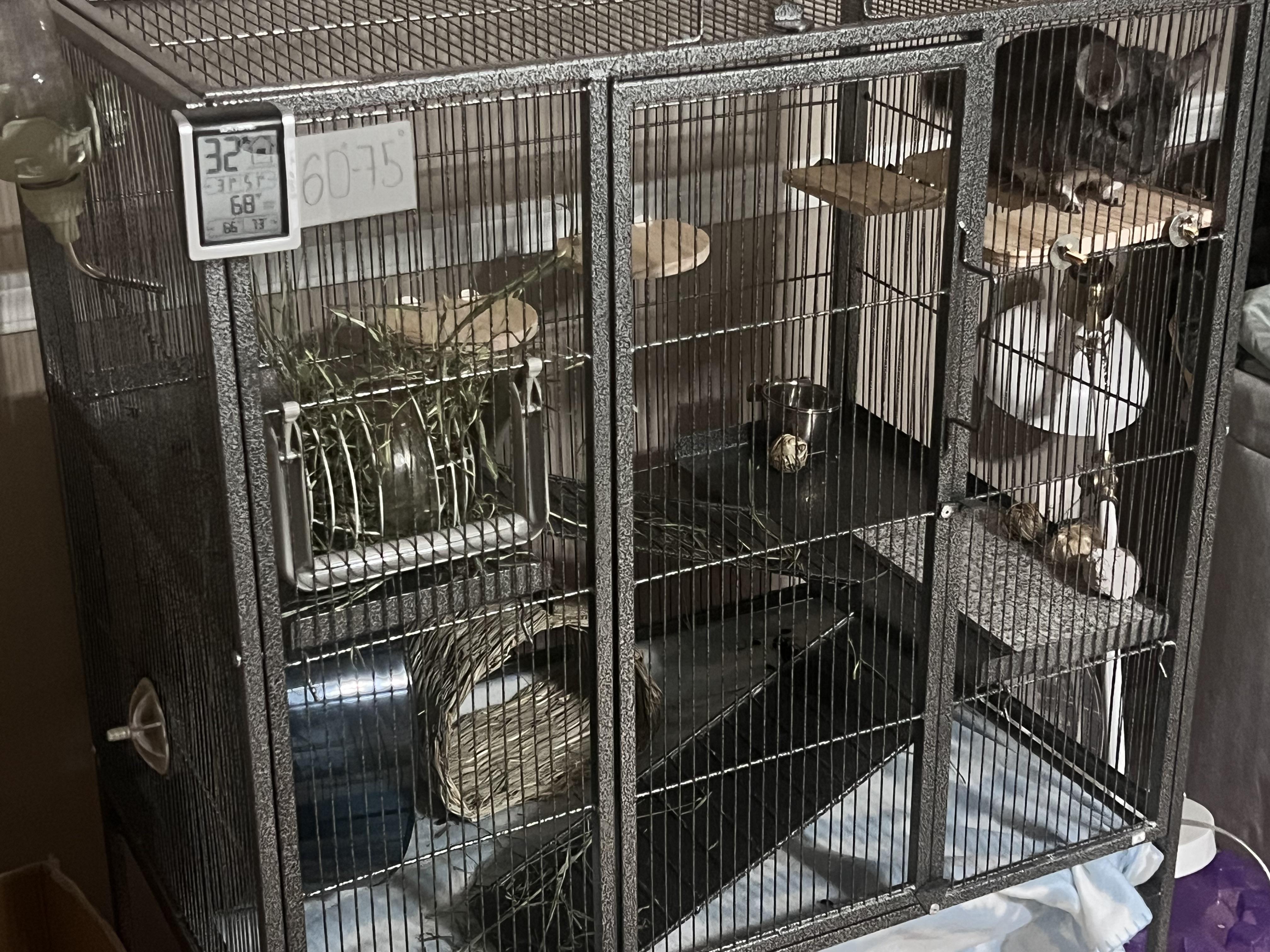 How I Expanded My Chinchilla’s Cage | Scrolller
