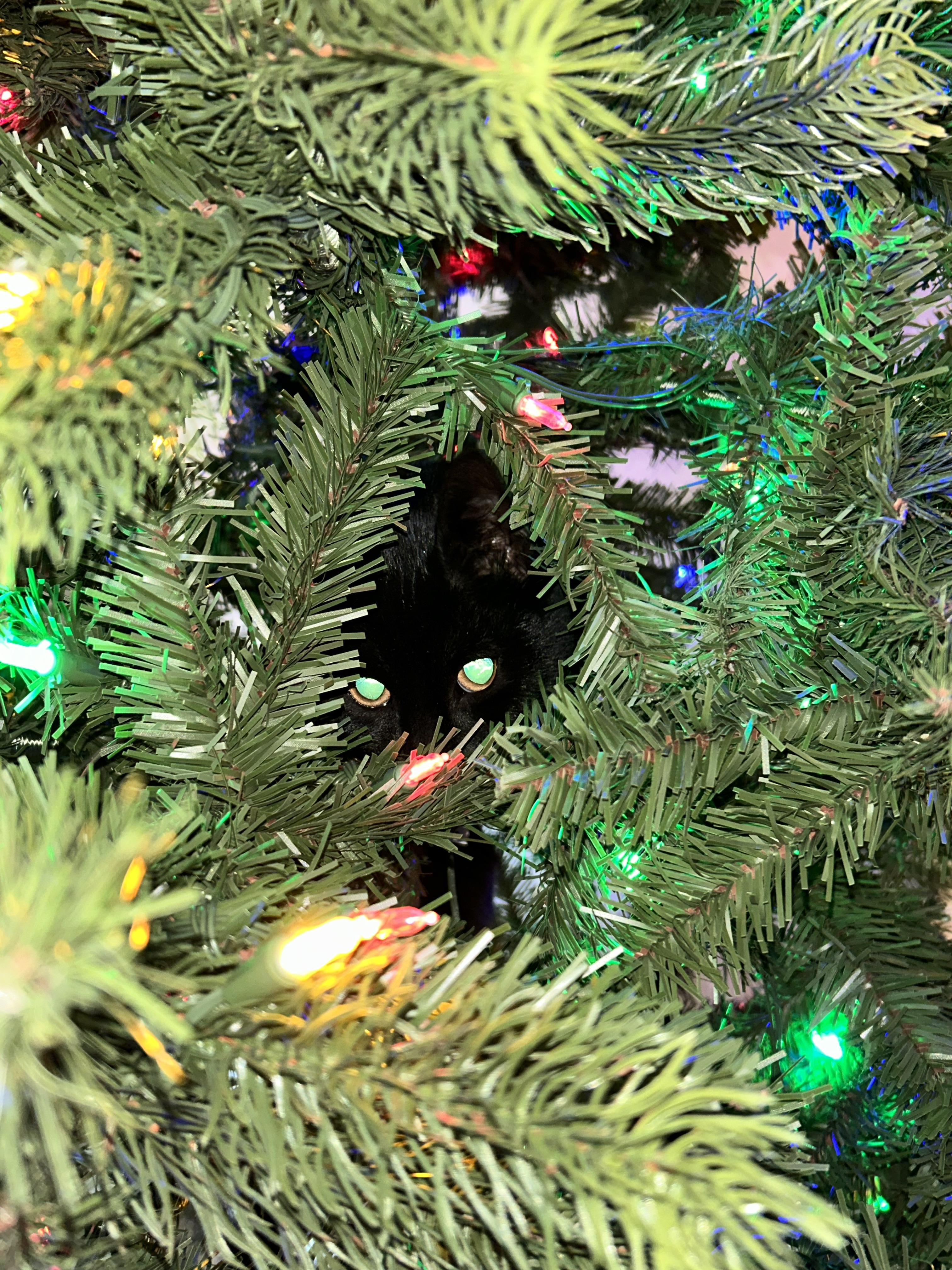 My Decorative Void | Scrolller