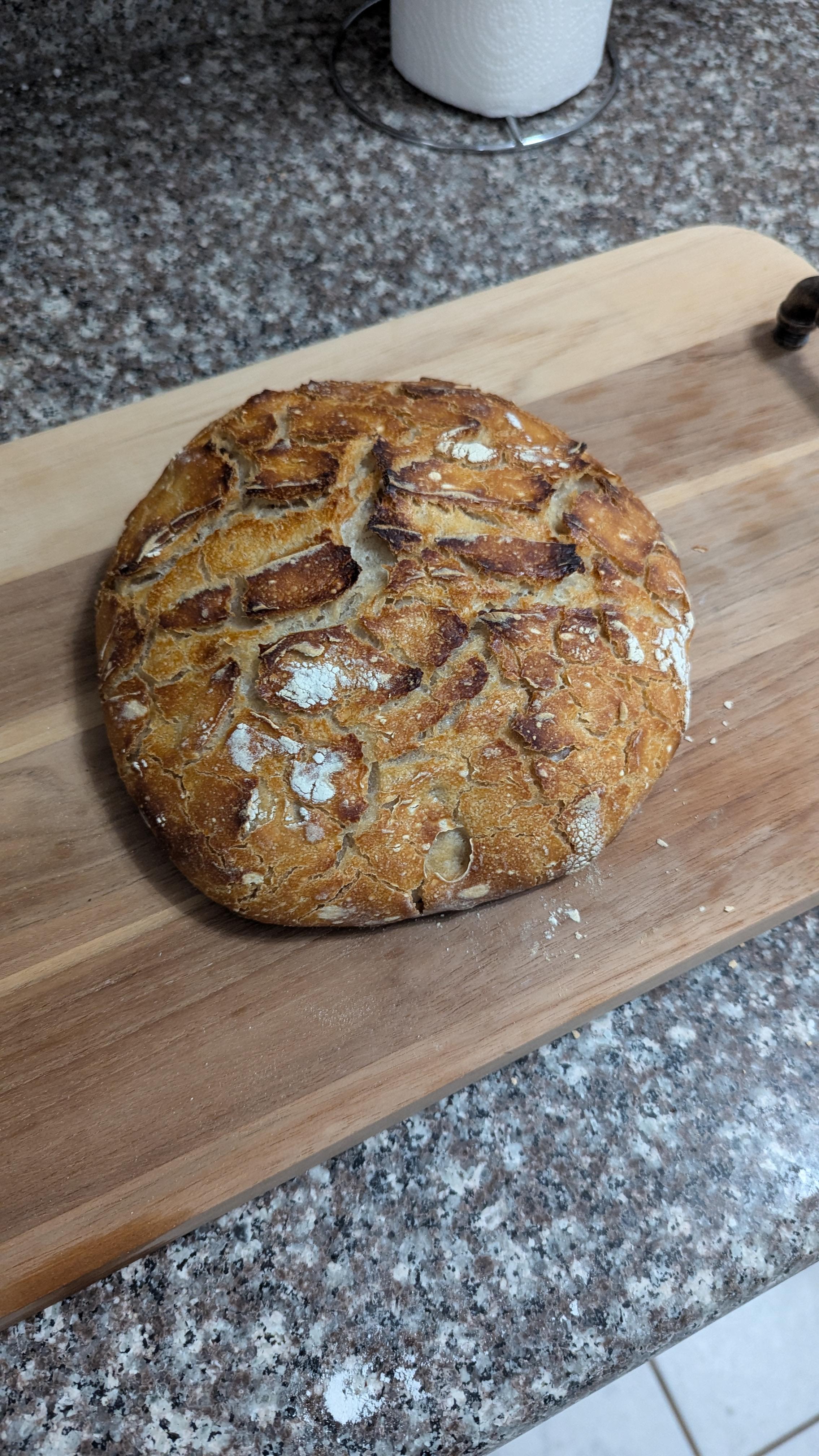 First ever sourdough loaf | Scrolller
