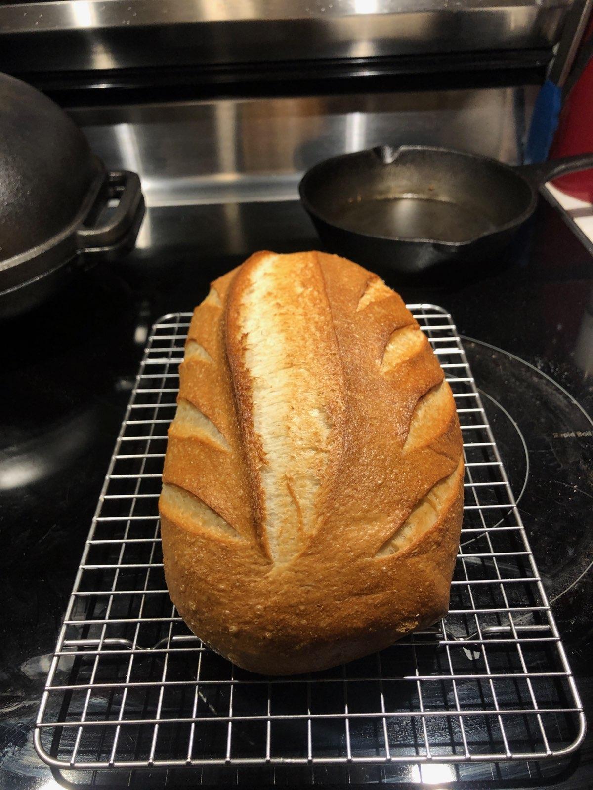 Haven't been this excited for bread since the last time I made bread! | Scrolller