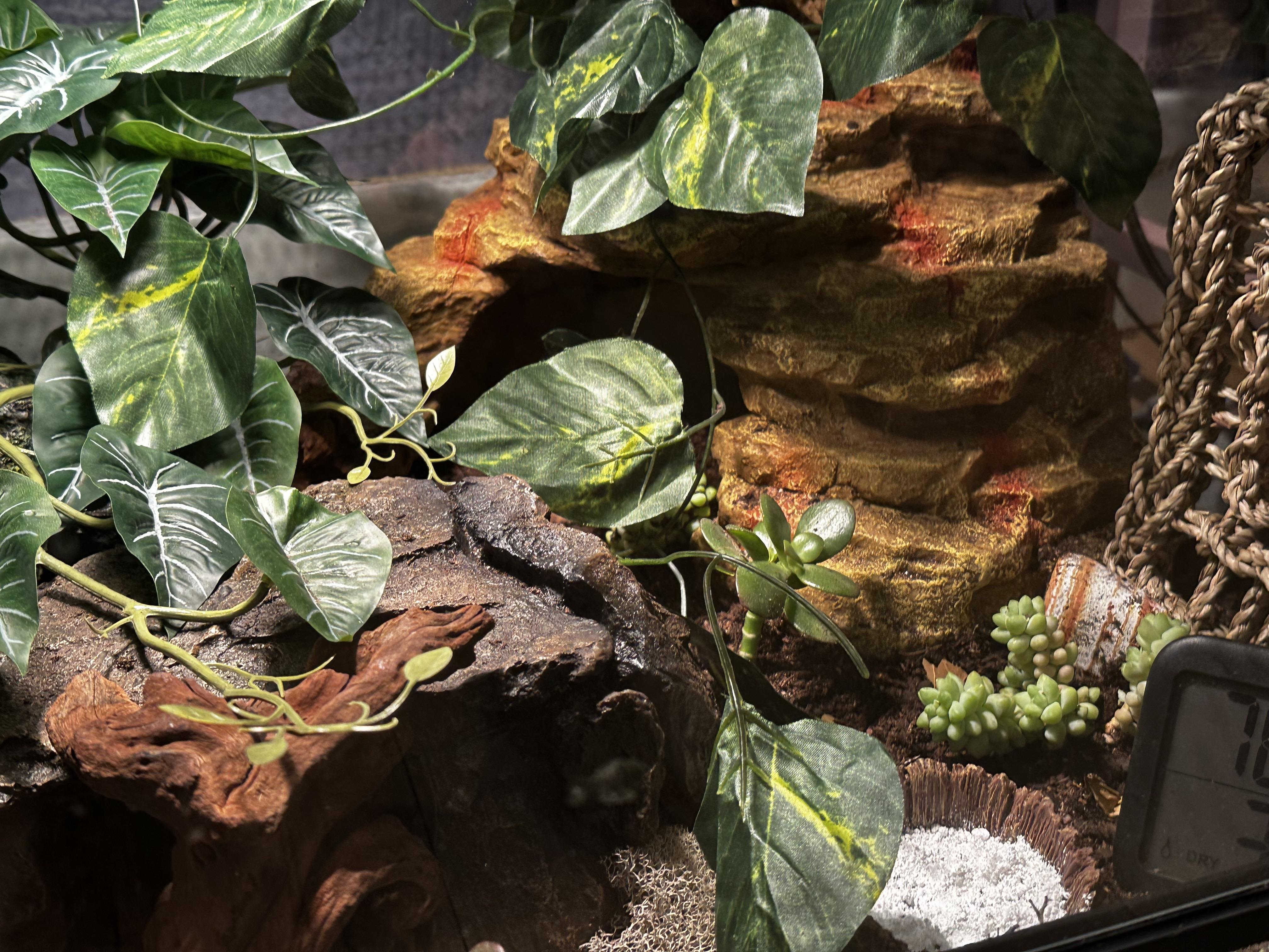 First Enclosure Setup! | Scrolller