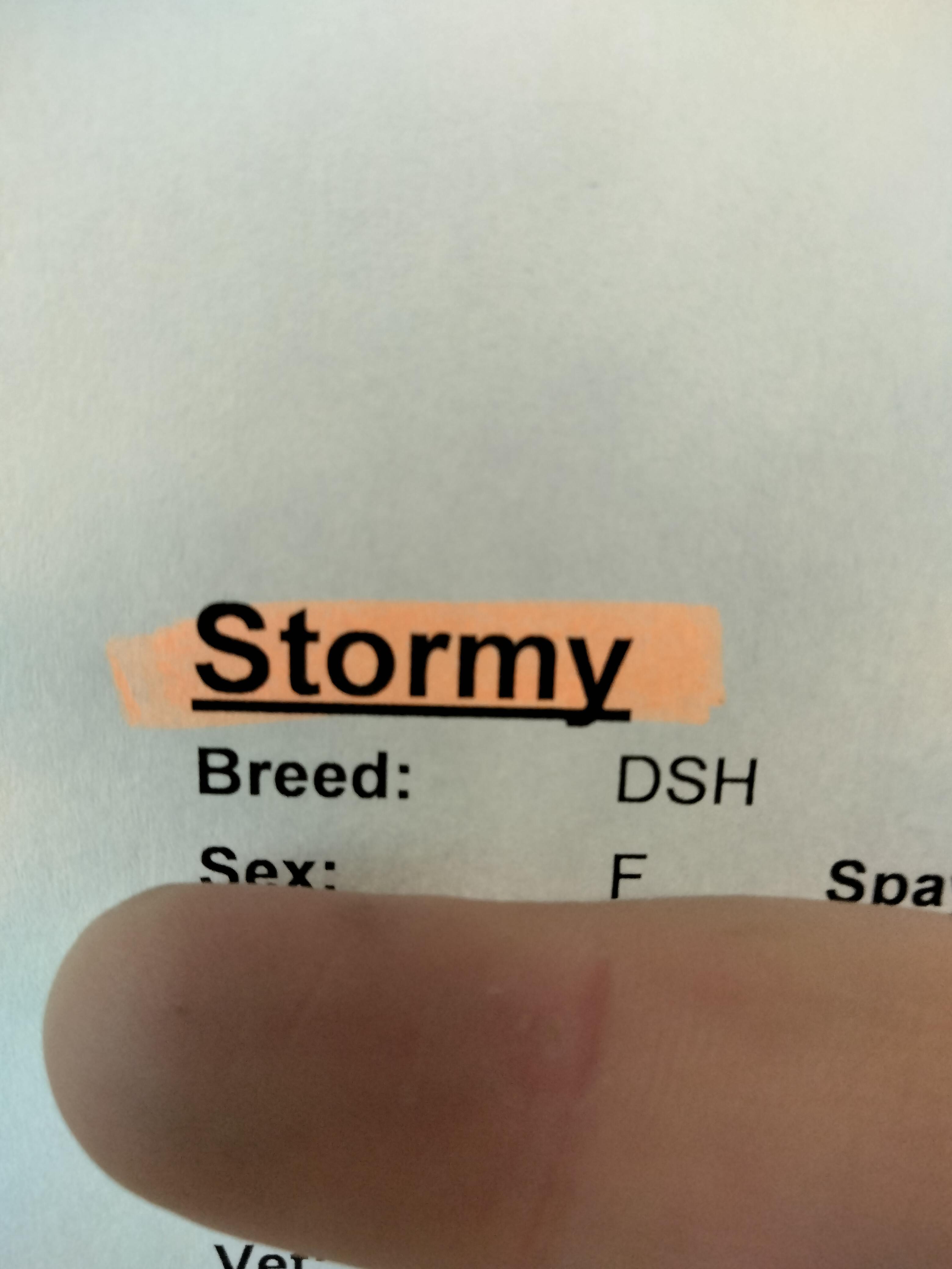 Strawberry and stormy from my work | Scrolller