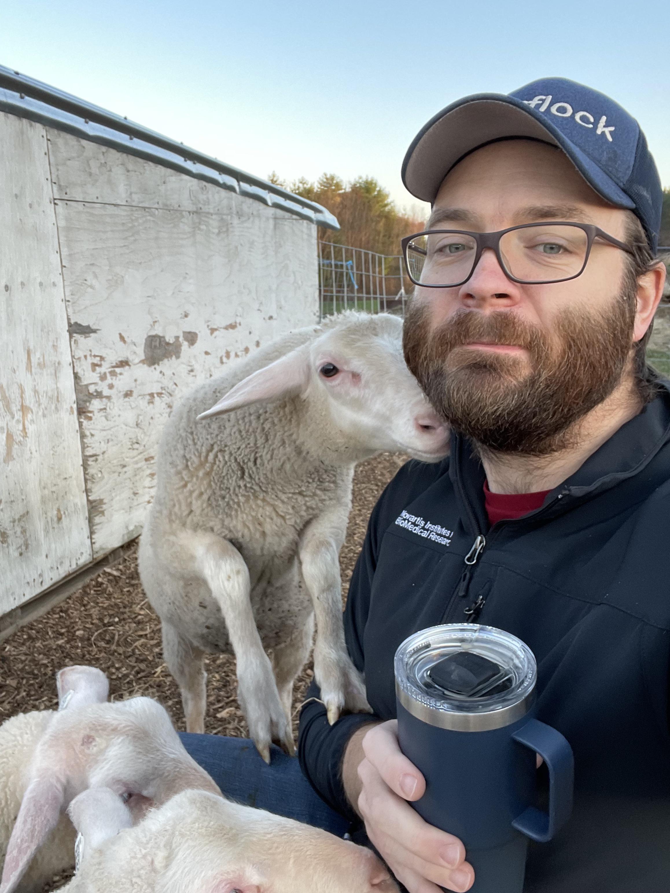 [OC] Morning coffee with the lambs | Scrolller