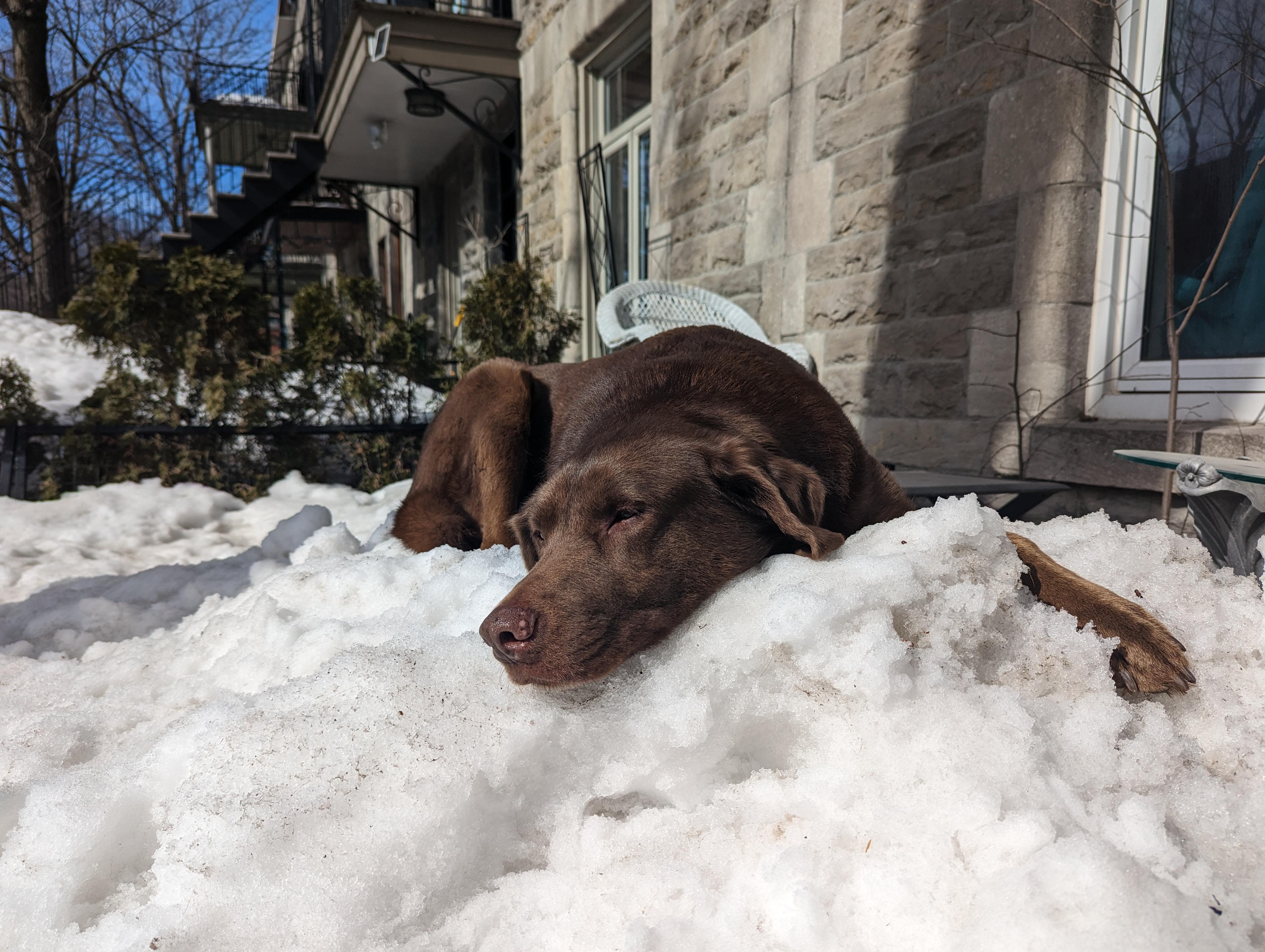 Kaya's on spring break. I'll admit I'm a little jealous. | Scrolller