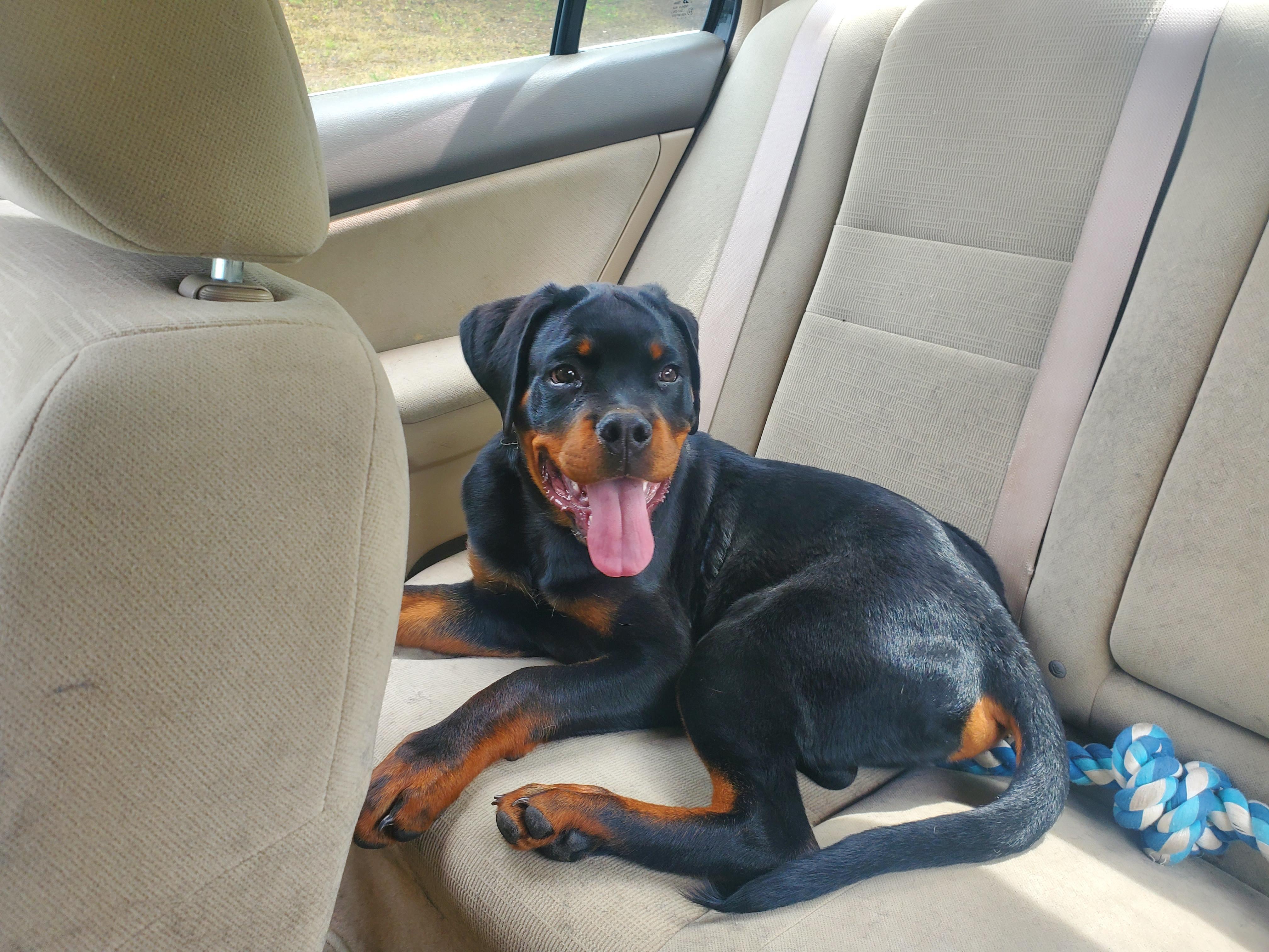 Post walk relax | Scrolller