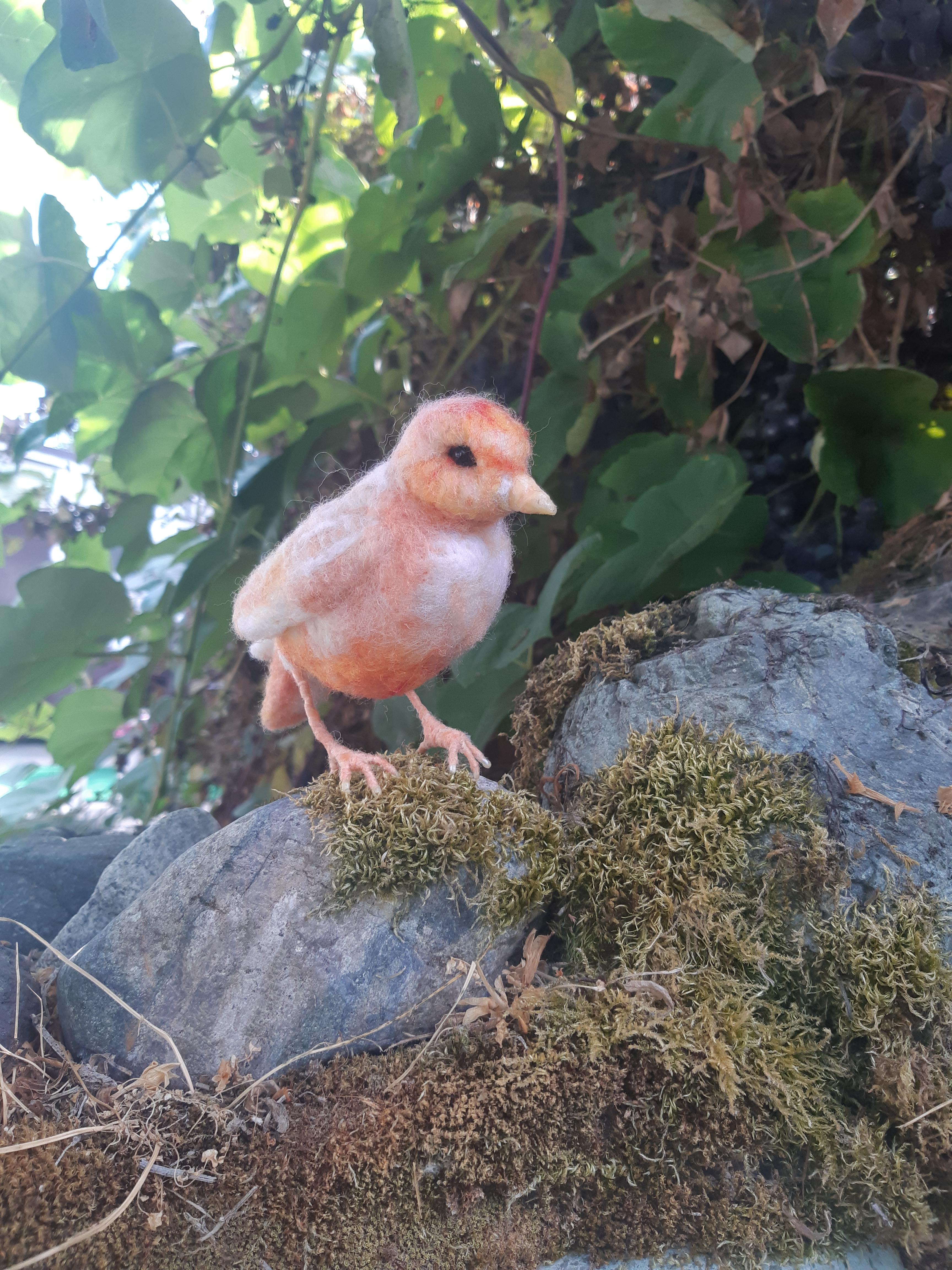 [oc] I made this bird 🐦 Needle felted wool technique | Scrolller