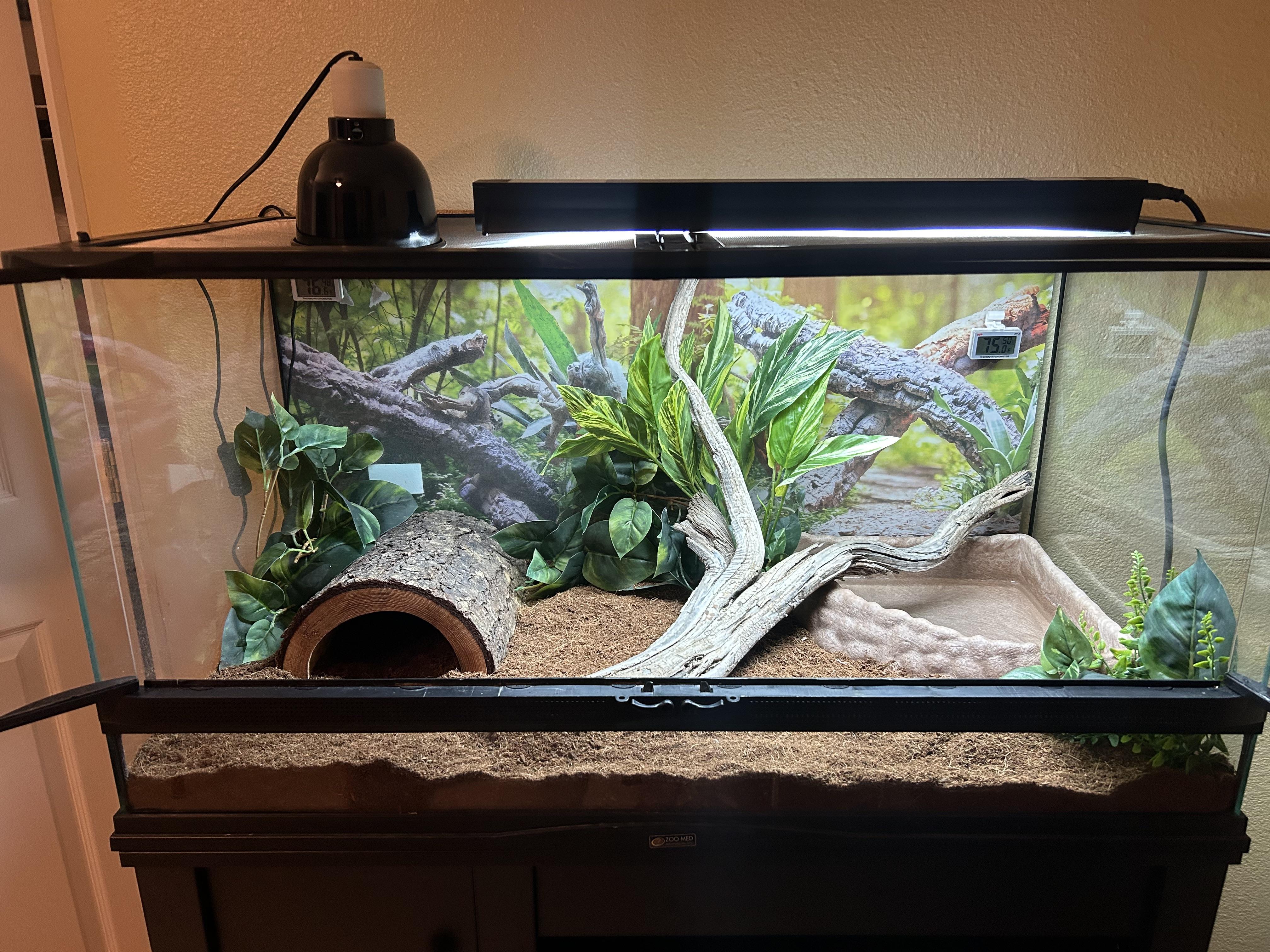 Upgraded Tank | Scrolller