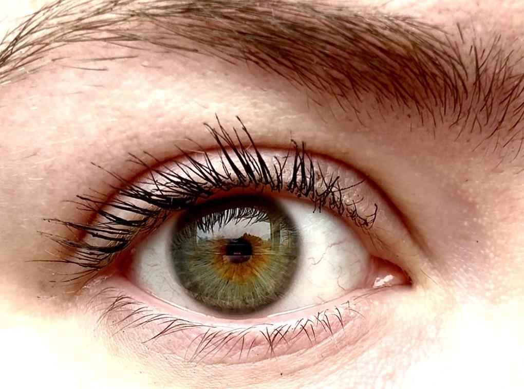 Green or hazel? | Scrolller