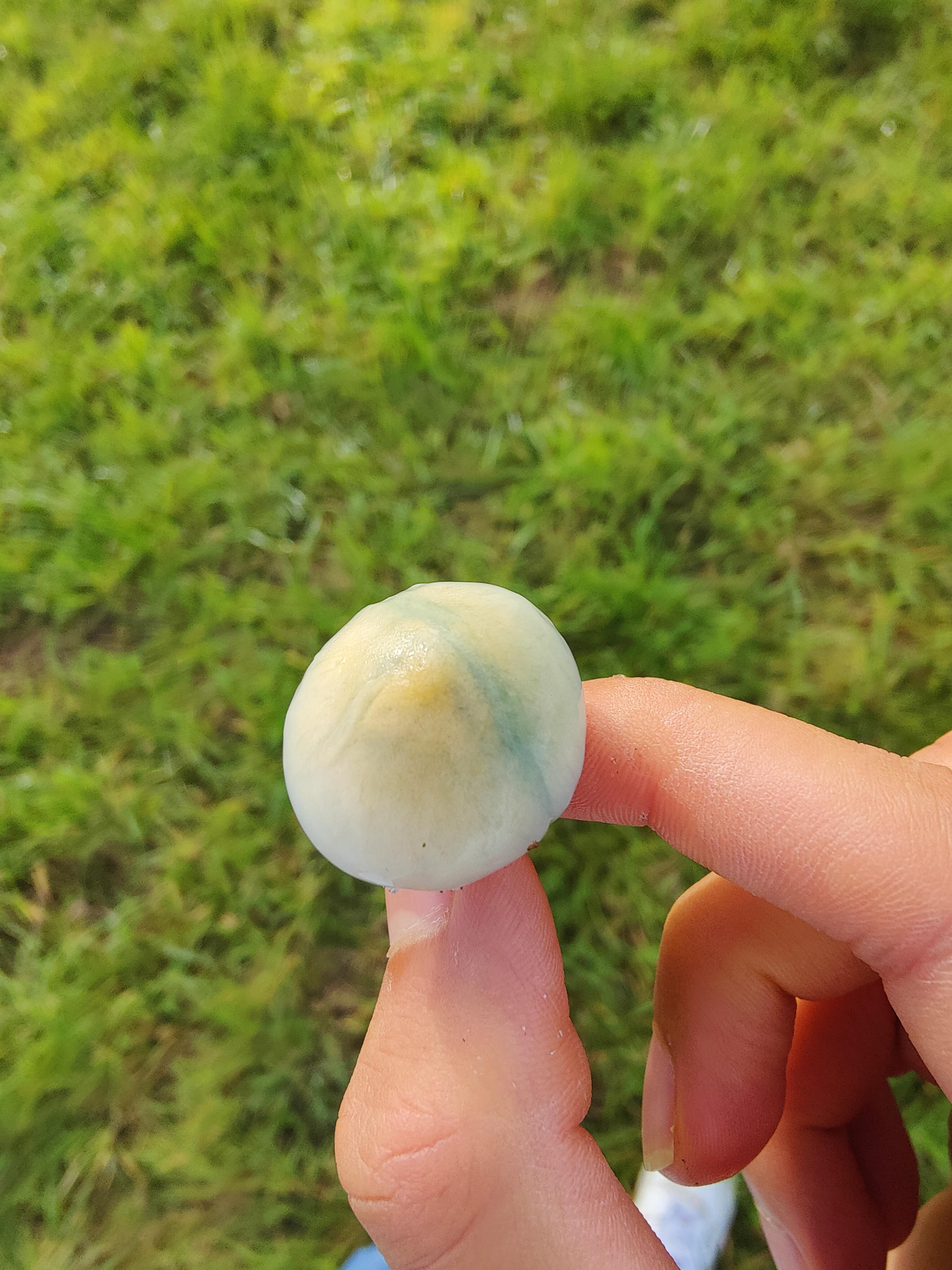 Tf is this and why is it cyany. UK meadow | Scrolller