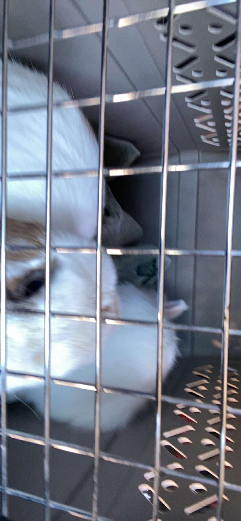 Update on my quest for bun | Scrolller