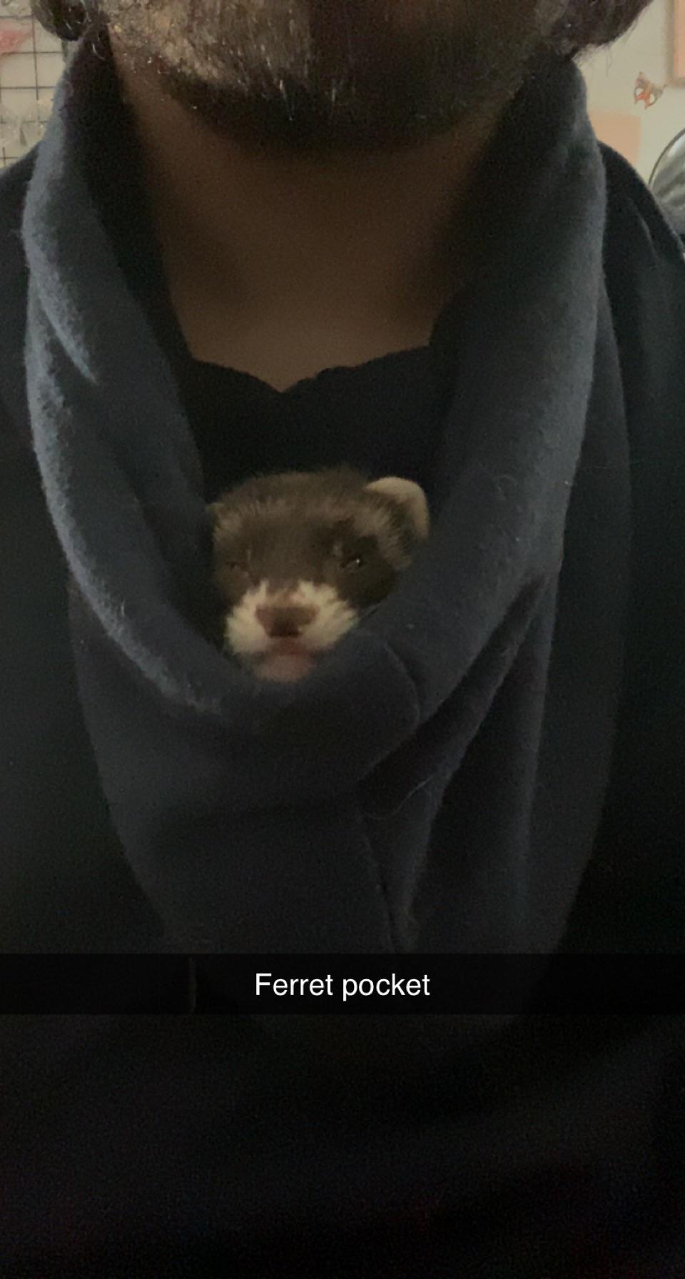 Meet Bubble | Scrolller