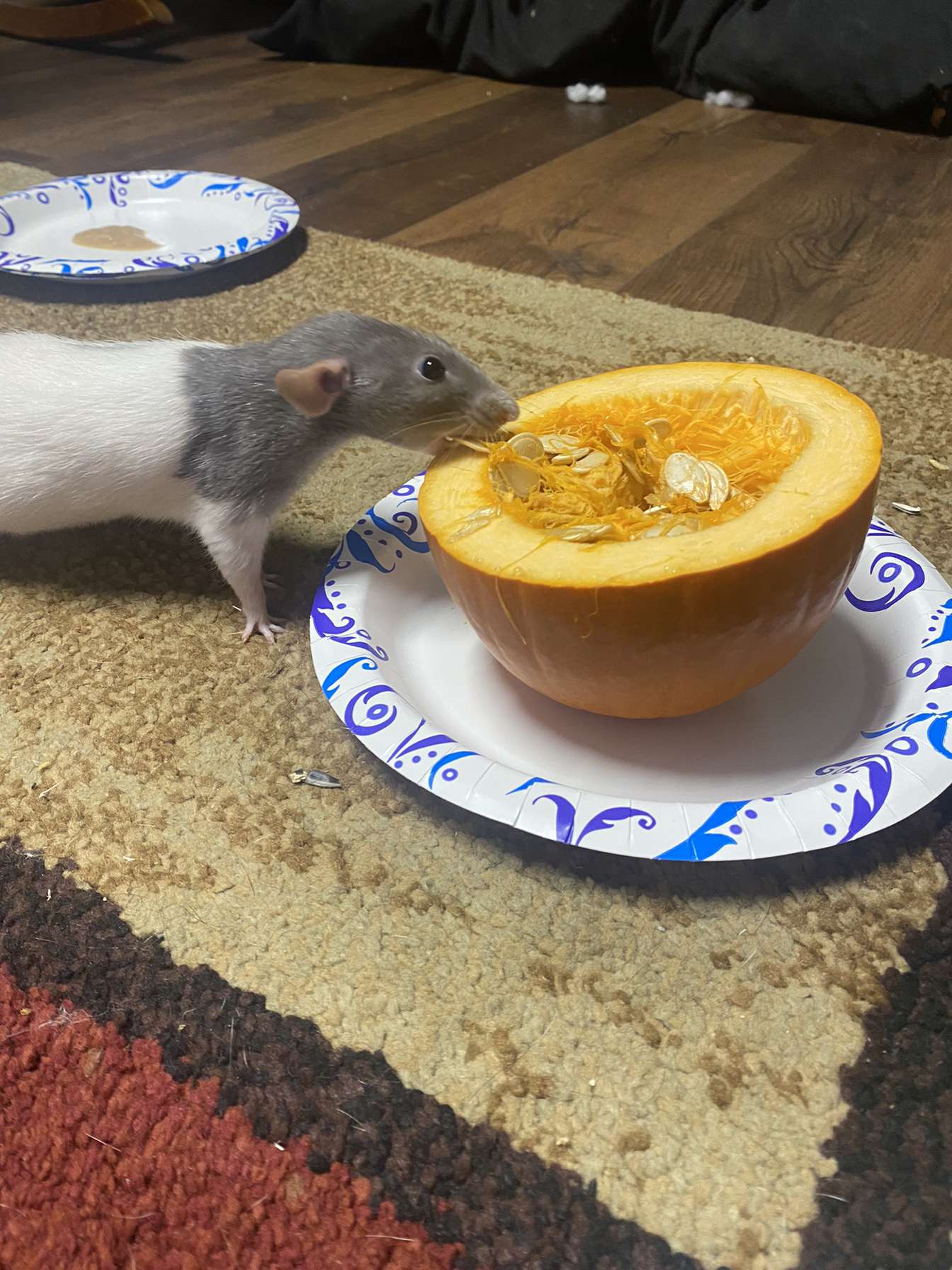 Tis the season | Scrolller