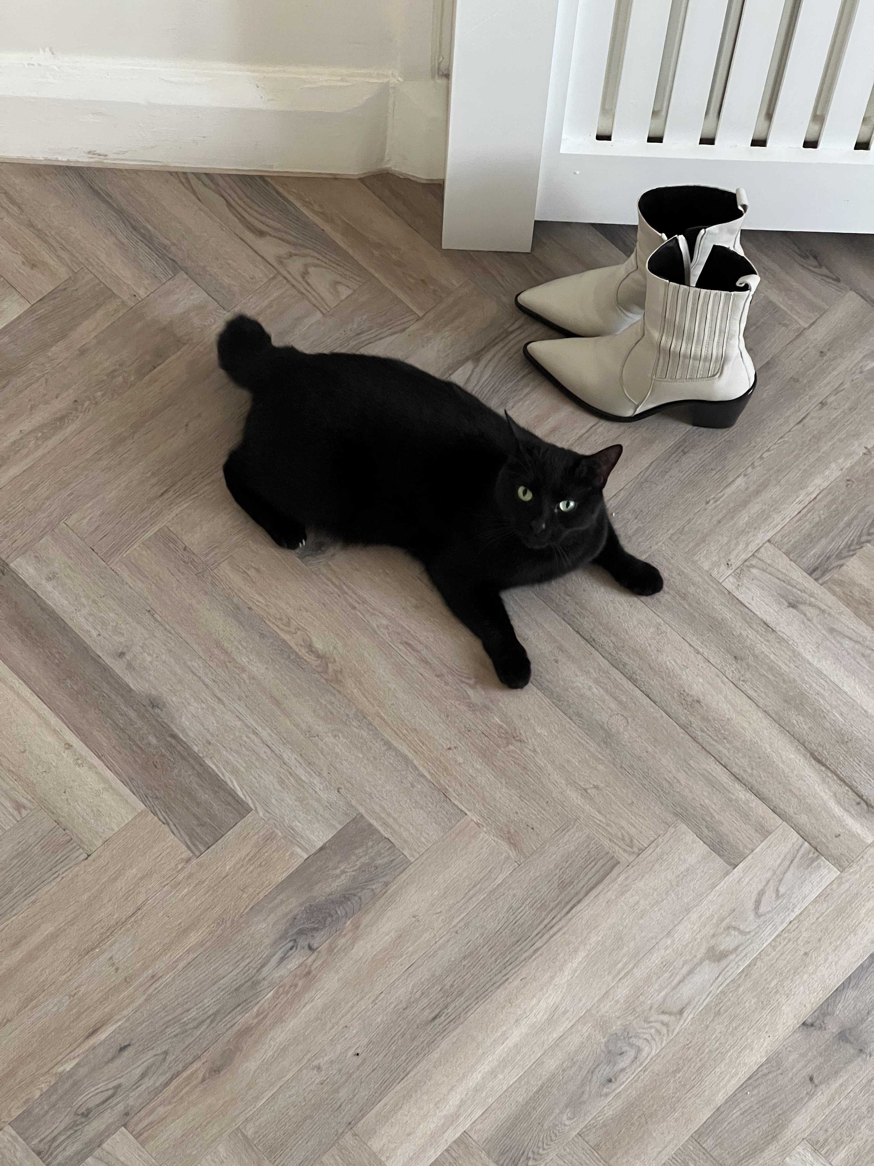 Slideshow of Dave | Scrolller