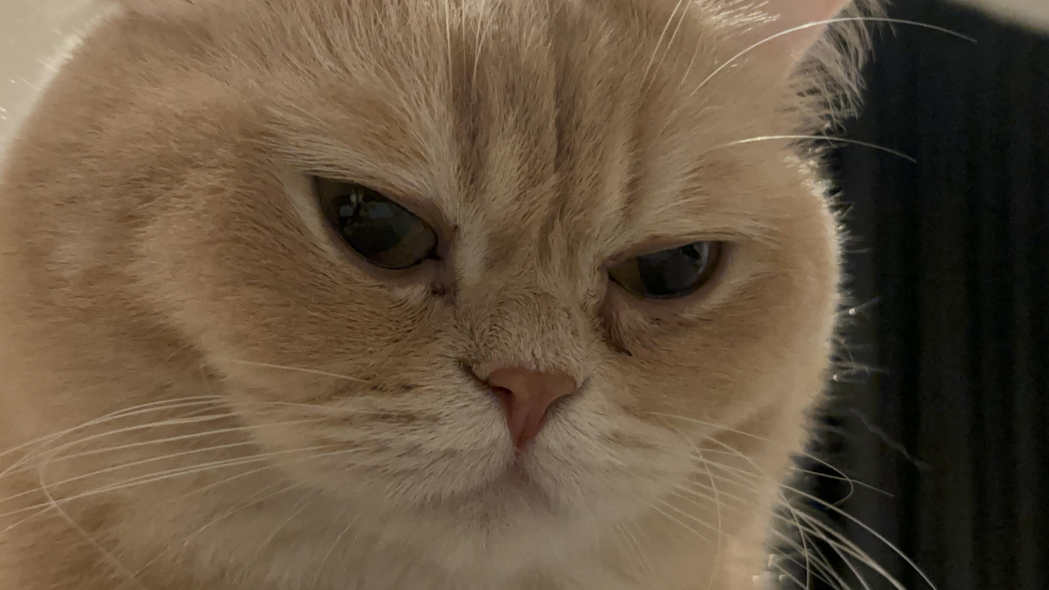 Why does he always look judging / grumpy | Scrolller