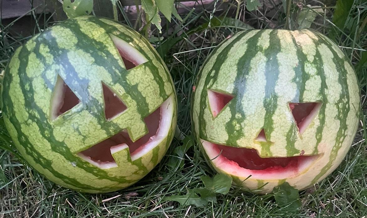Summerween Melons! | Scrolller