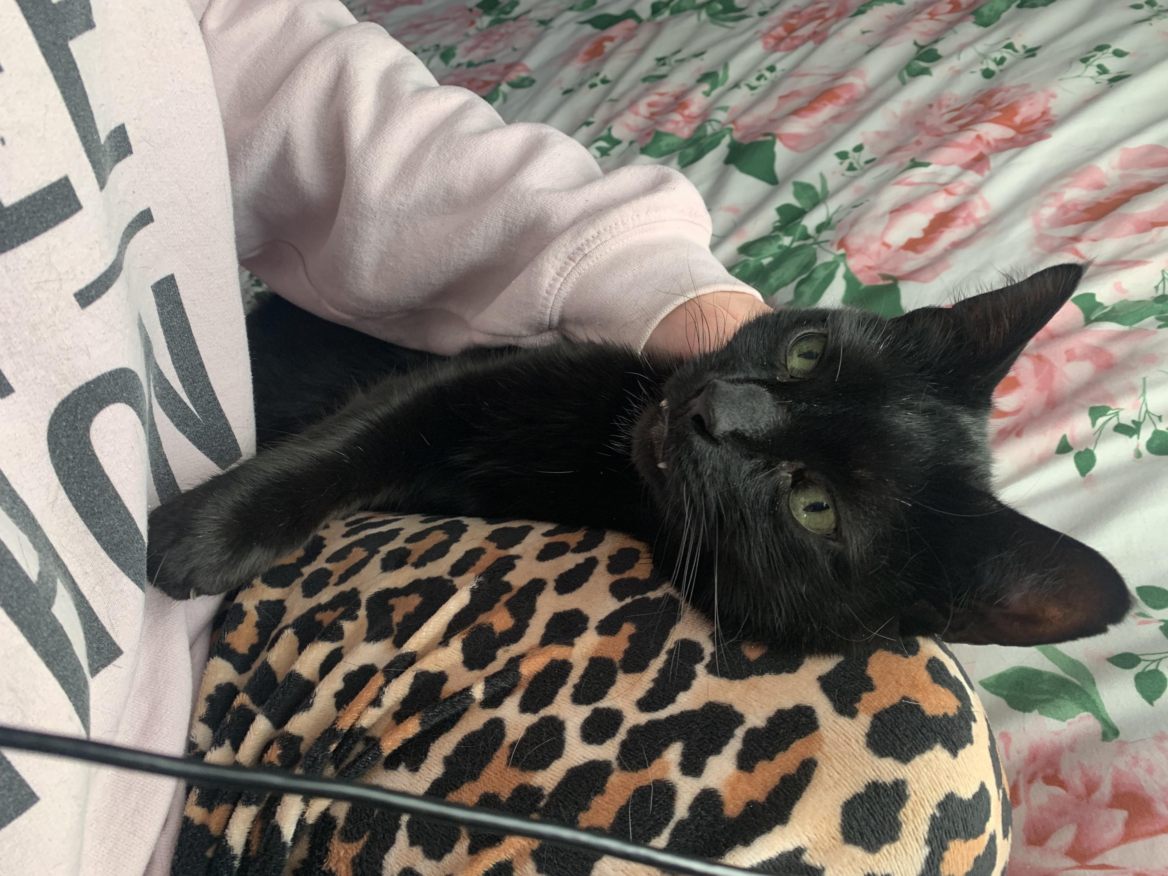 Void luv | Scrolller