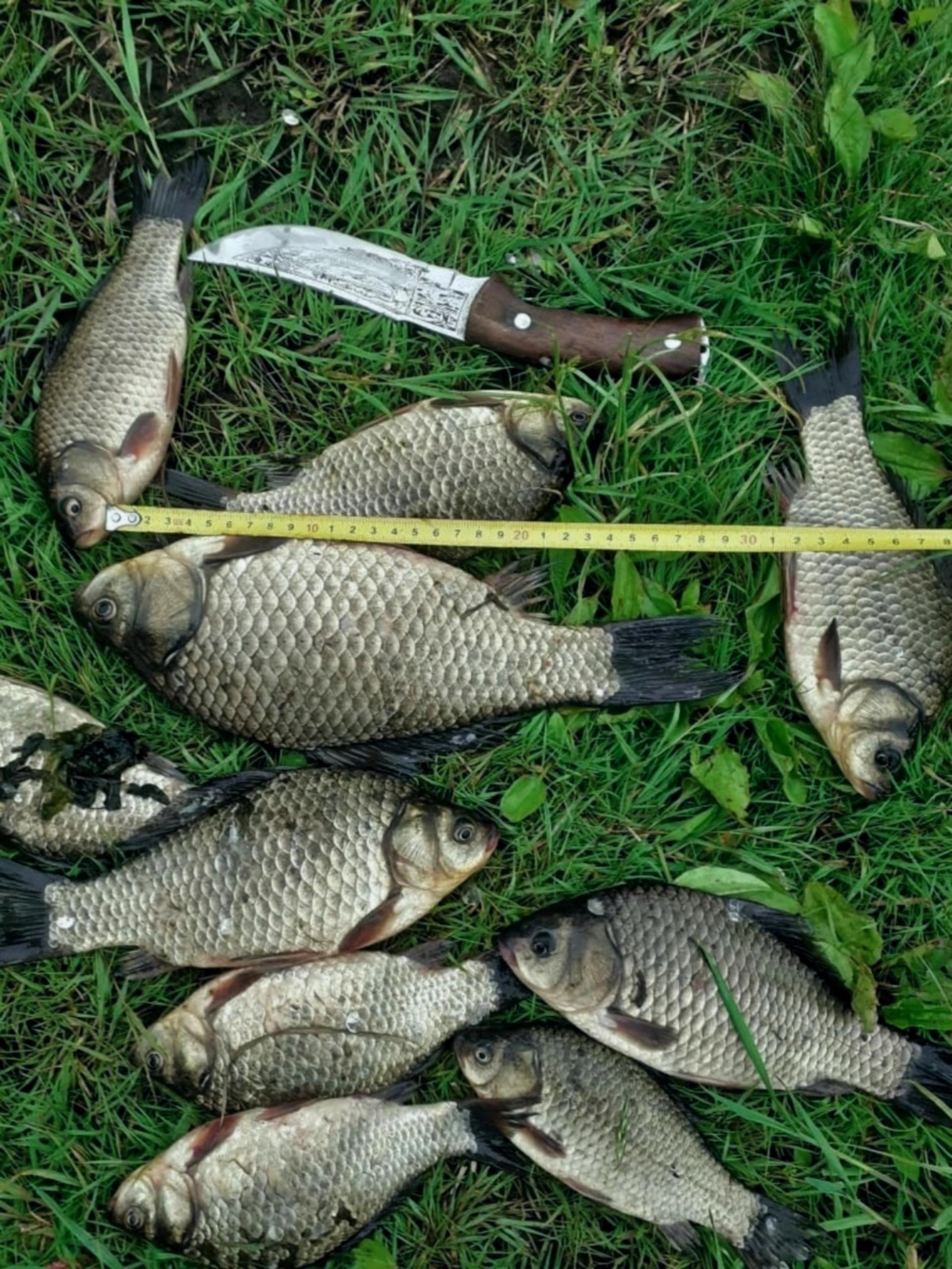 Russian fishing | Scrolller