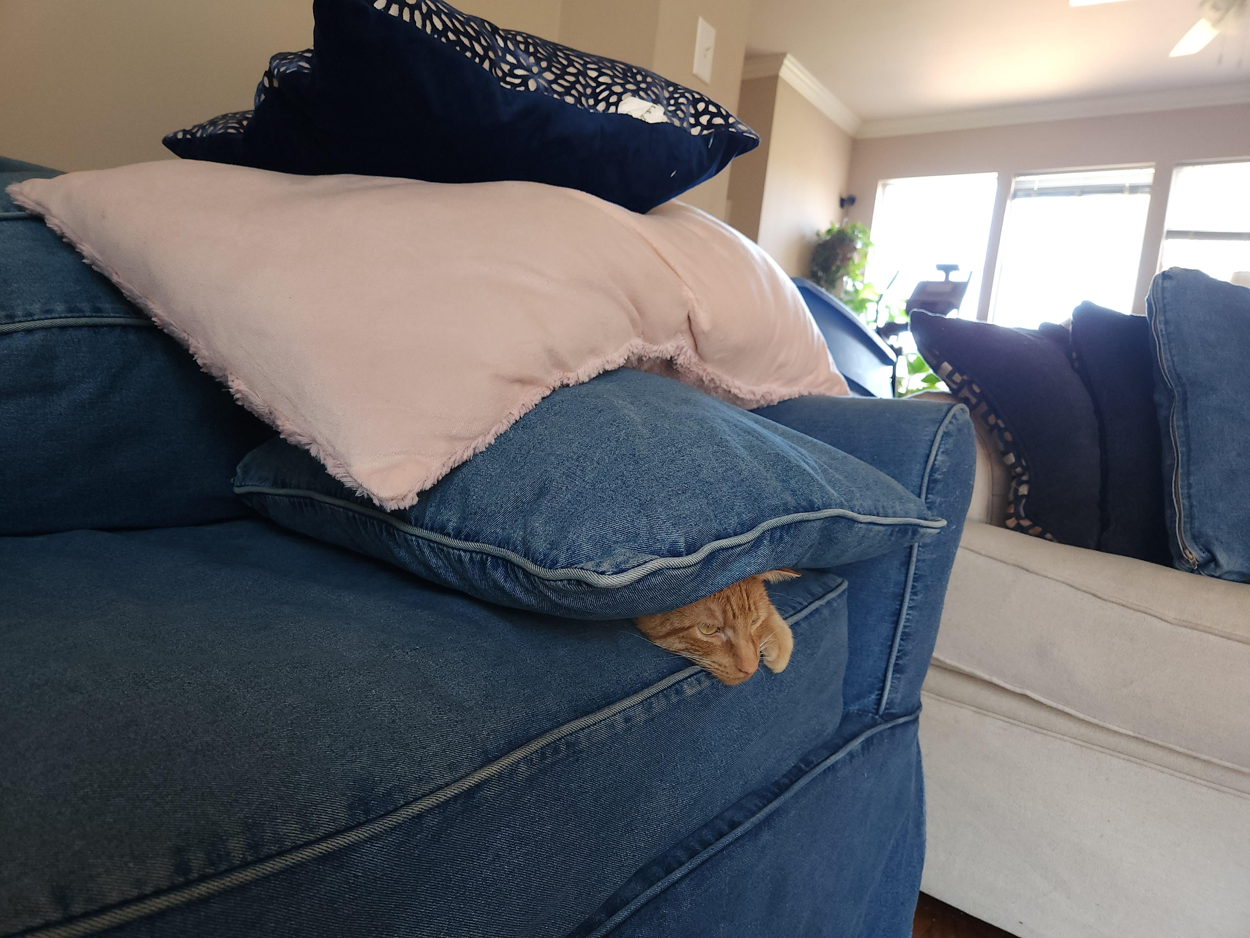 A pillow tower and a squished boy | Scrolller