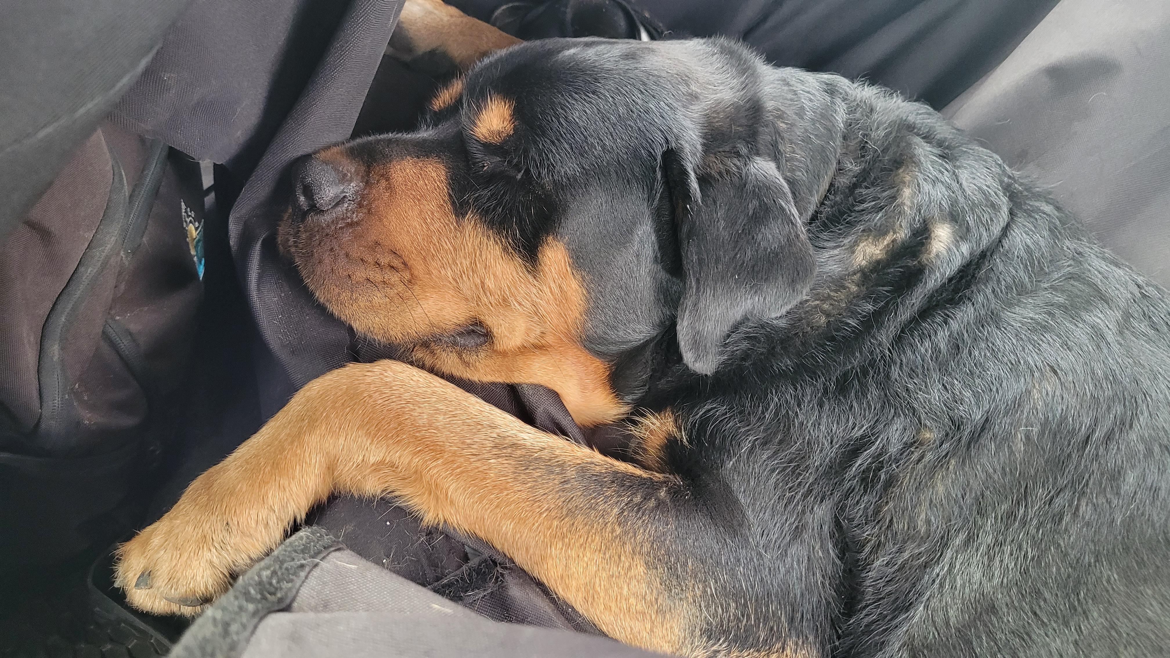 THUNDER😴 | Scrolller