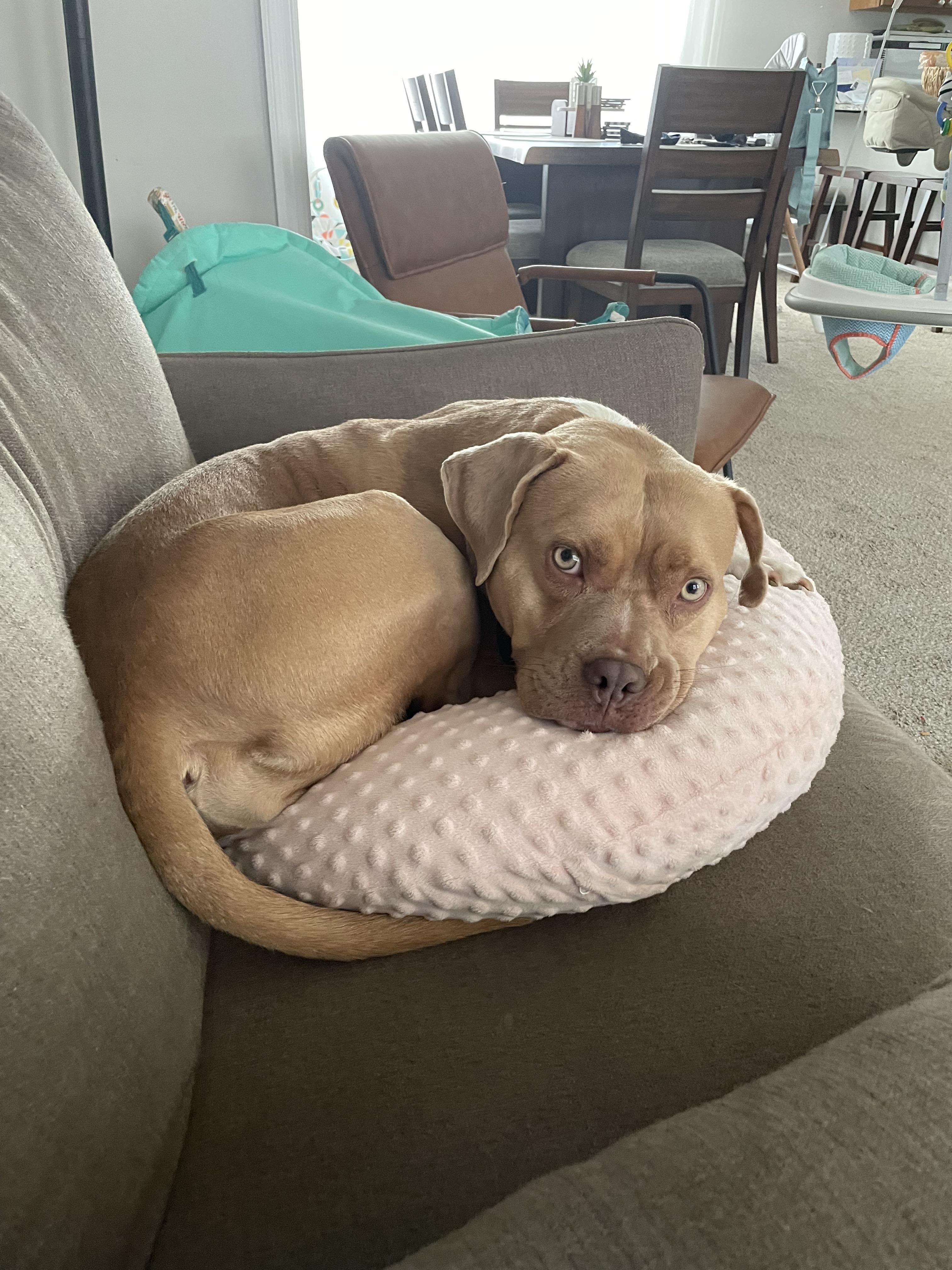 Vacationing and Boarding | Scrolller