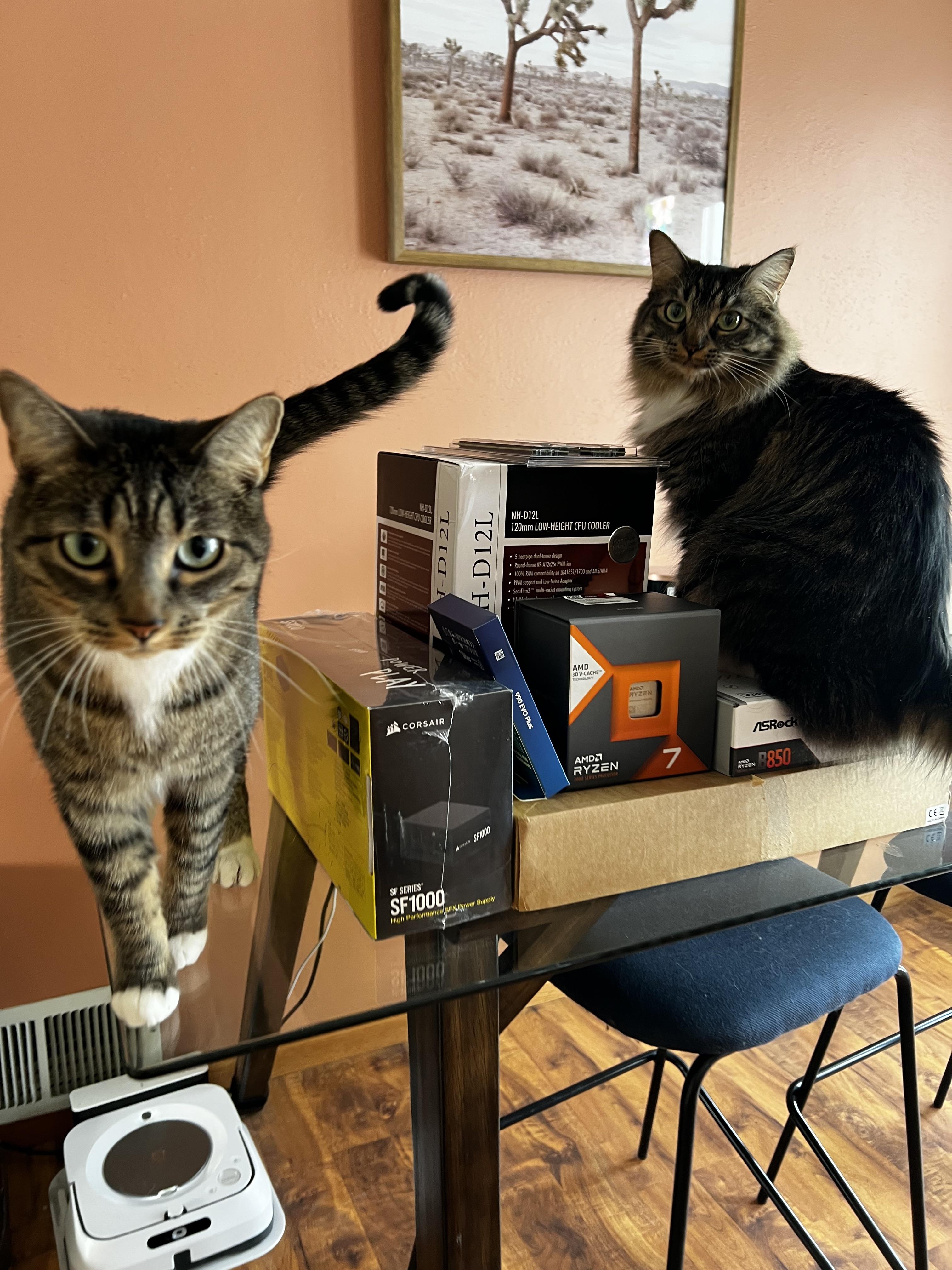 My new SFF Build! 🥳 | Scrolller