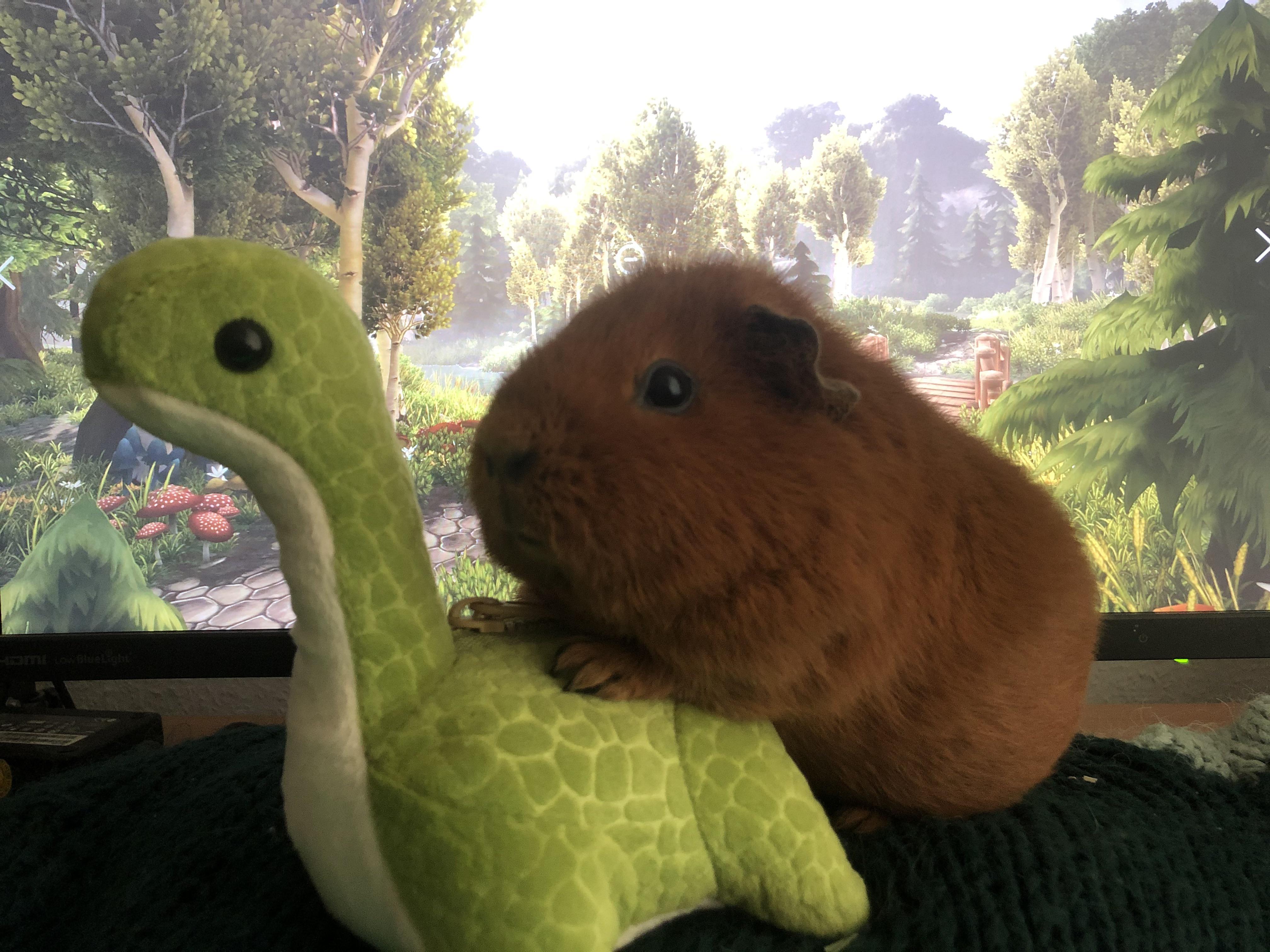 Mrs. Maple and her bff | Scrolller