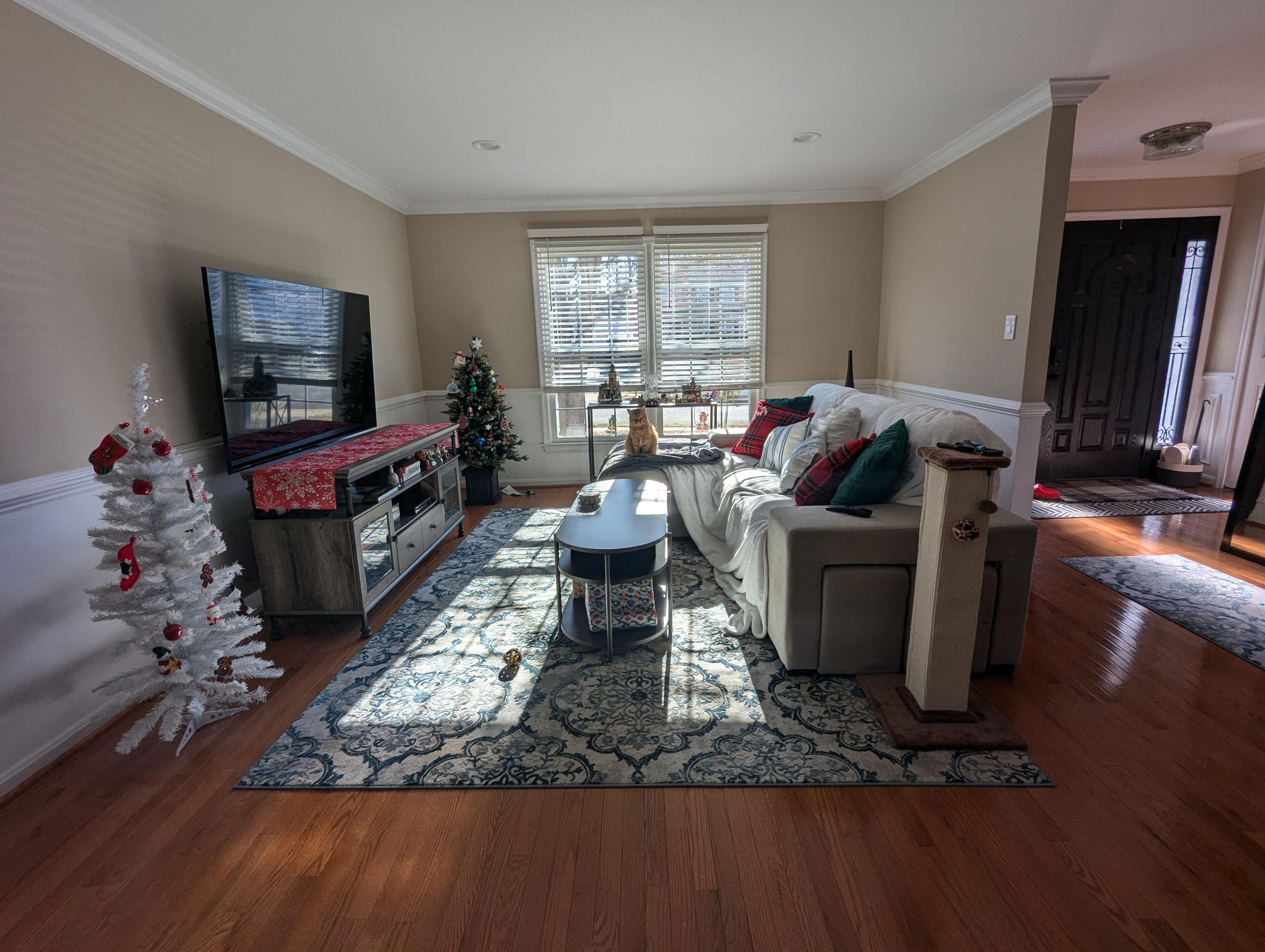 Looking for ideas | Scrolller