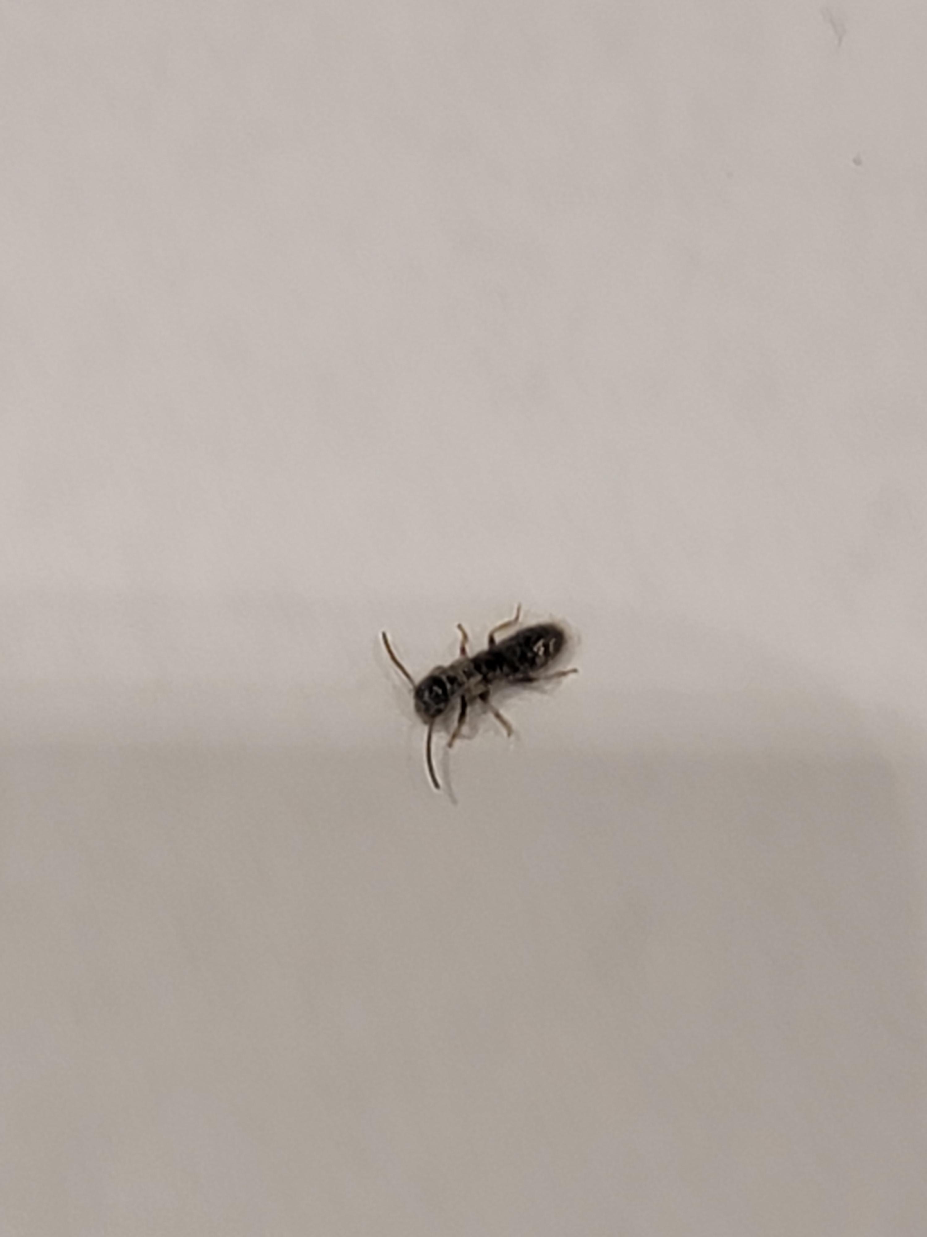 What are these in Denver CO | Scrolller