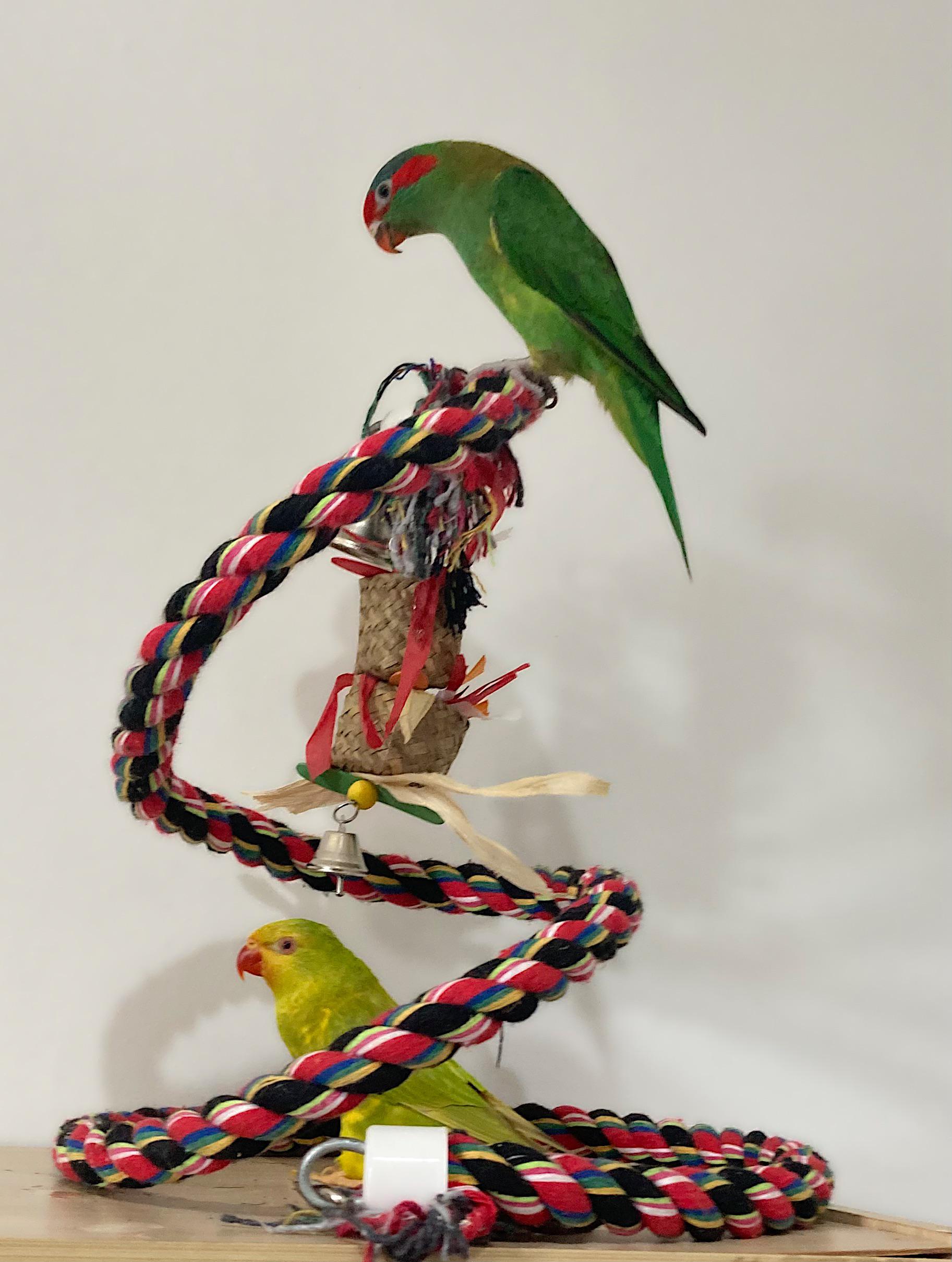 My favourite pics of my two monsters! | Scrolller