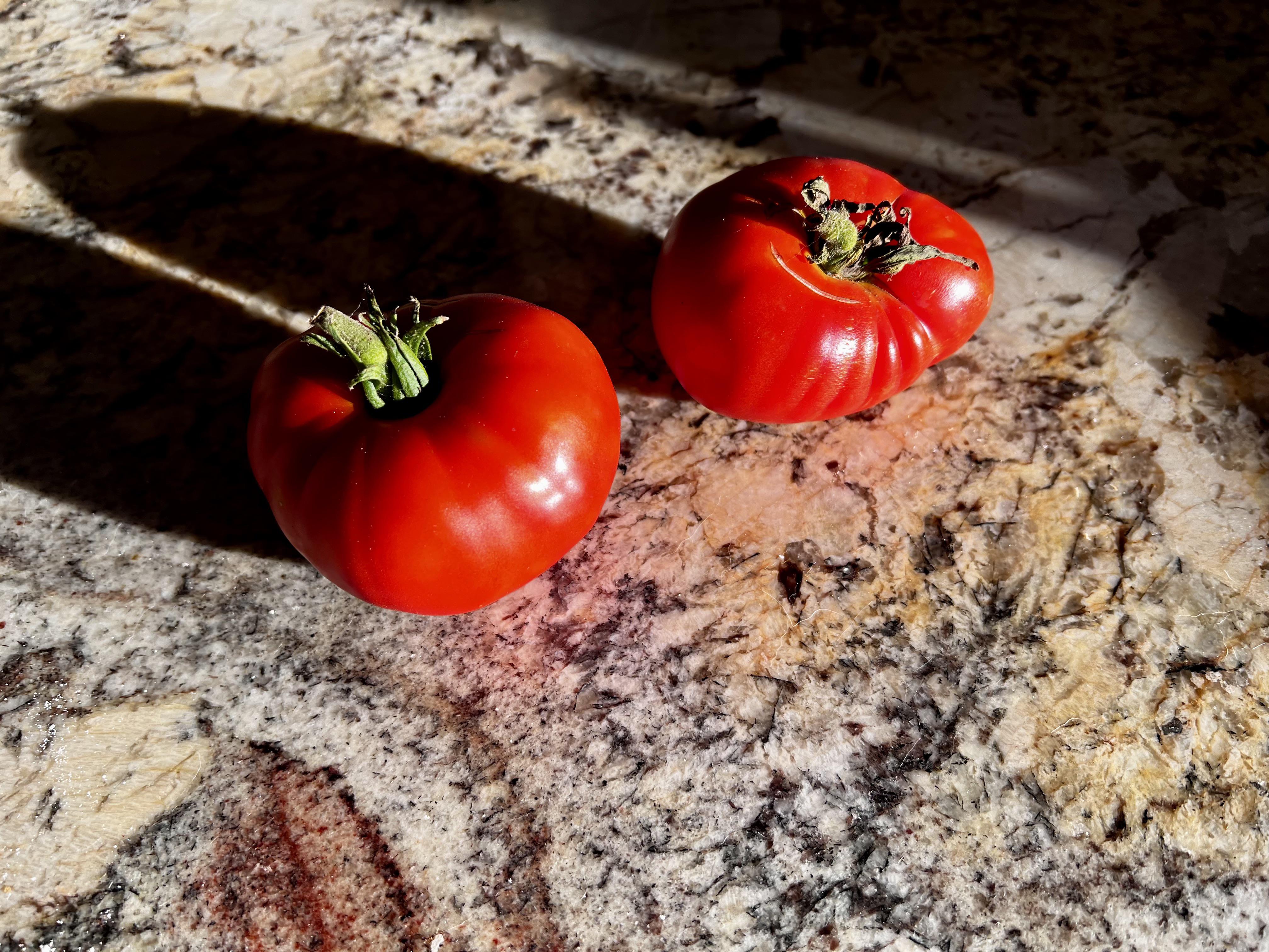 [Homemade]BLT from home grown tomatoes | Scrolller