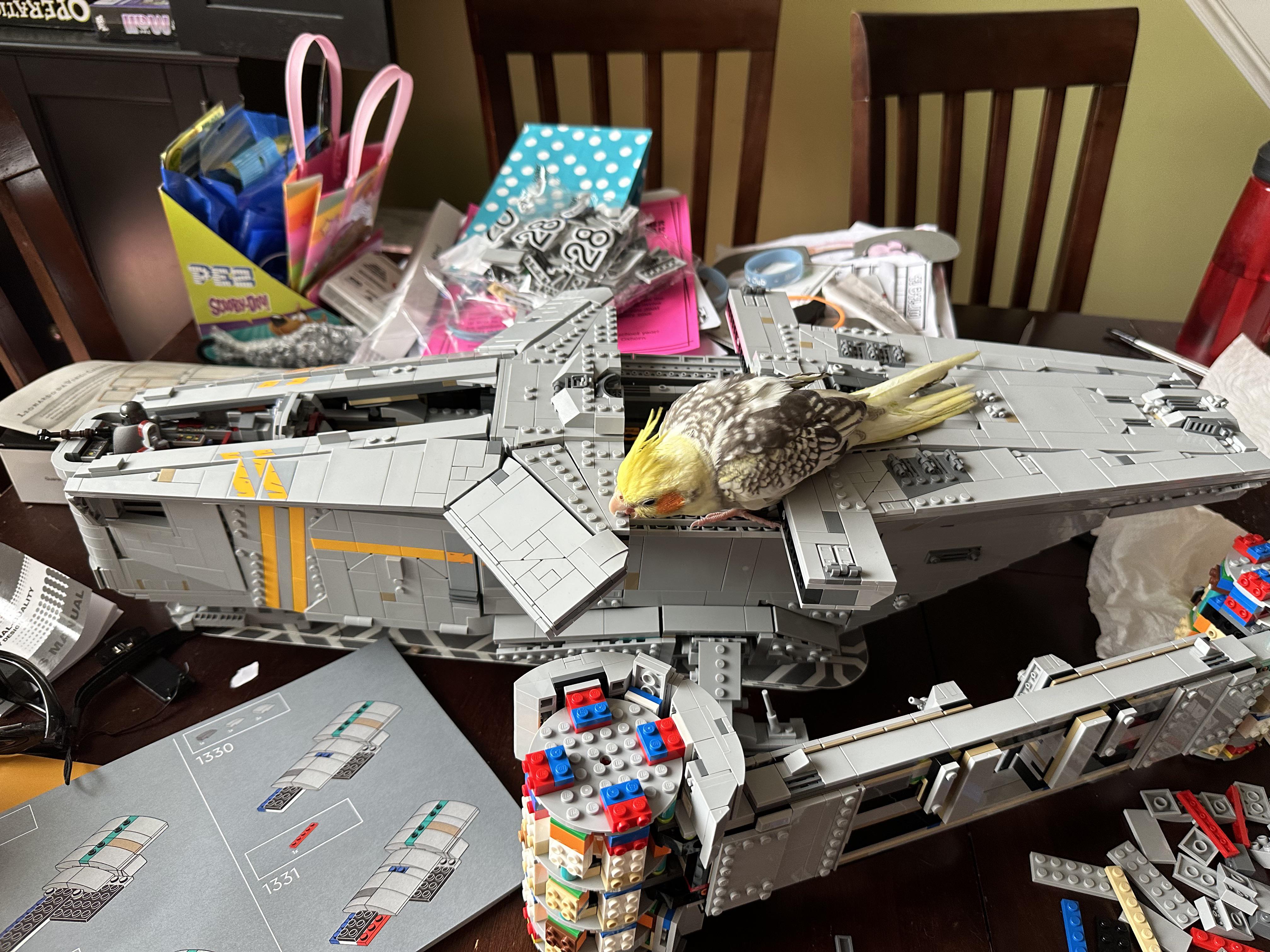 Father’s Day Lego building | Scrolller