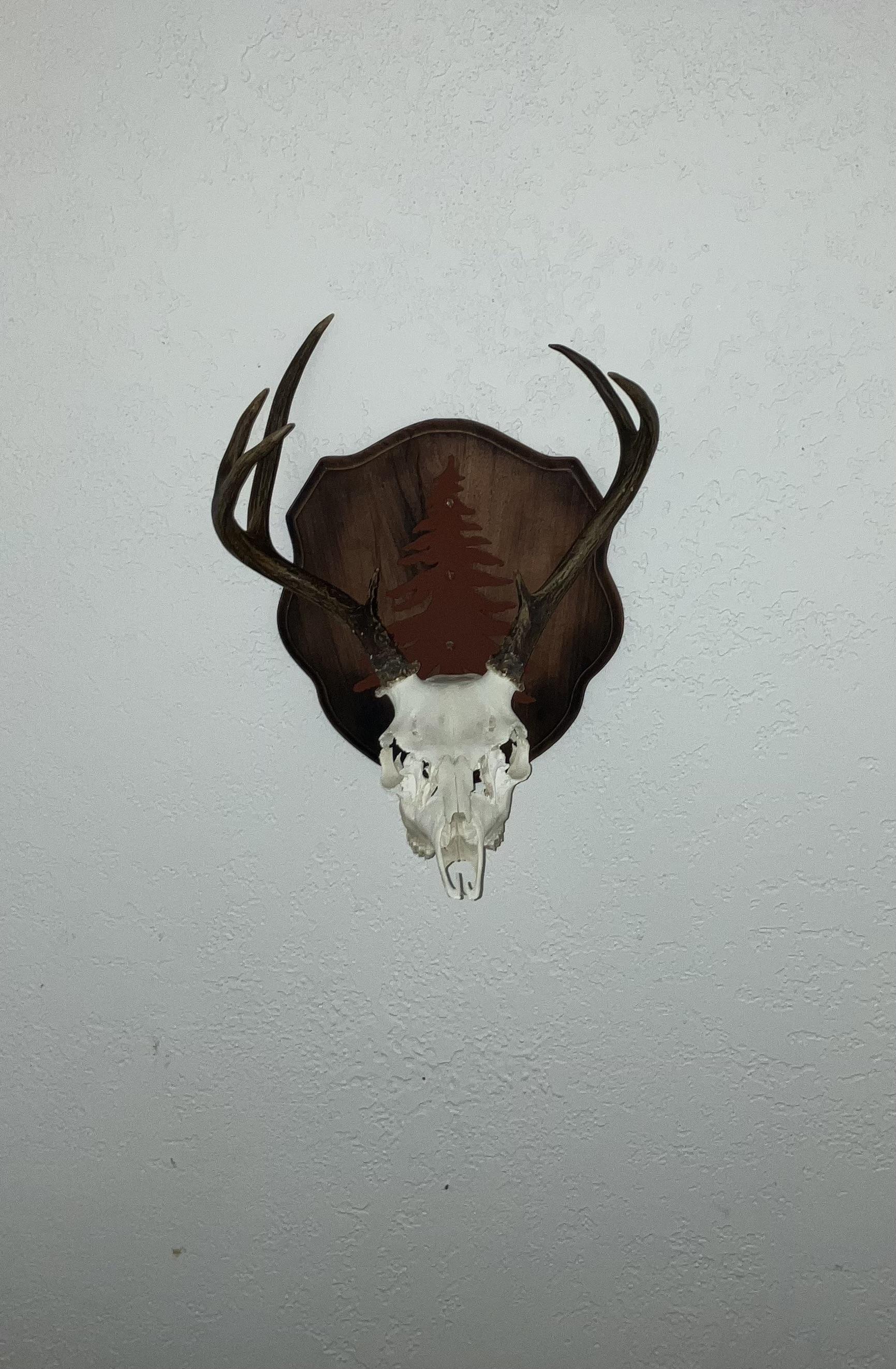 Throwback to my first buck | Scrolller