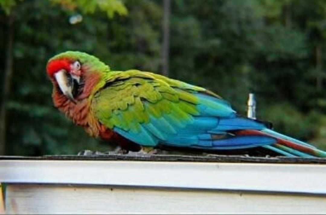 Sinjin and more shenanigans: Read captions for more info | Scrolller