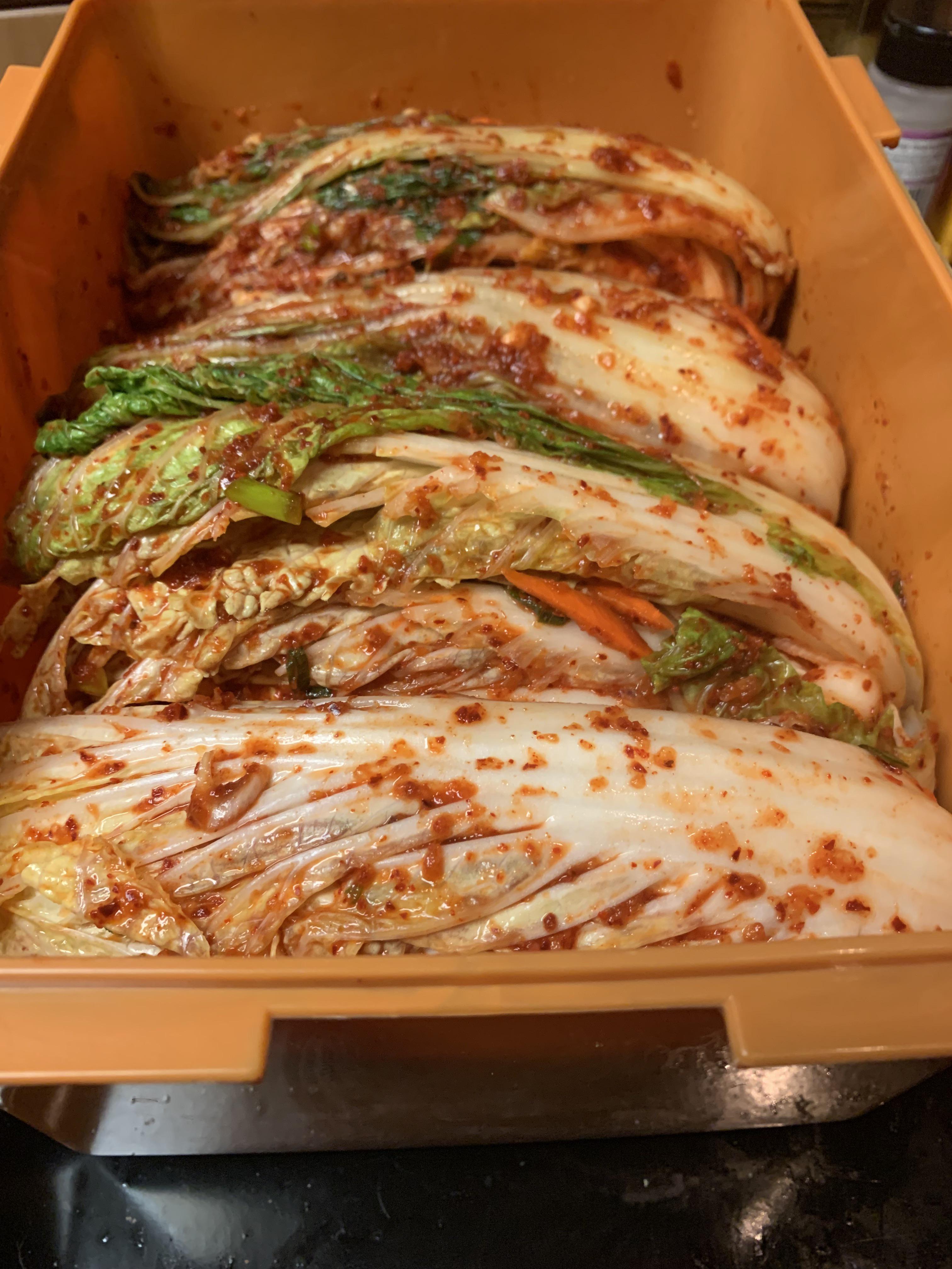 [homemade] Napa cabbage kimchi | Scrolller
